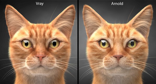 modelo 3d Cat Ginger v1 - TurboSquid 1315486