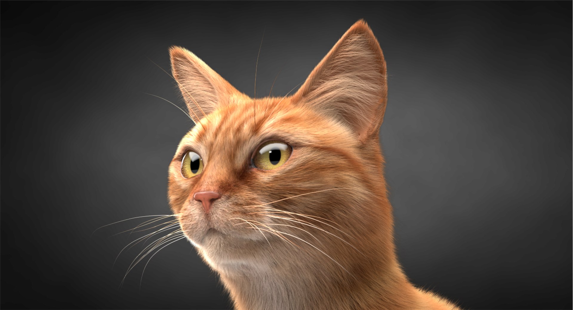 3D Ginger Cat Hair Model - TurboSquid 1315486