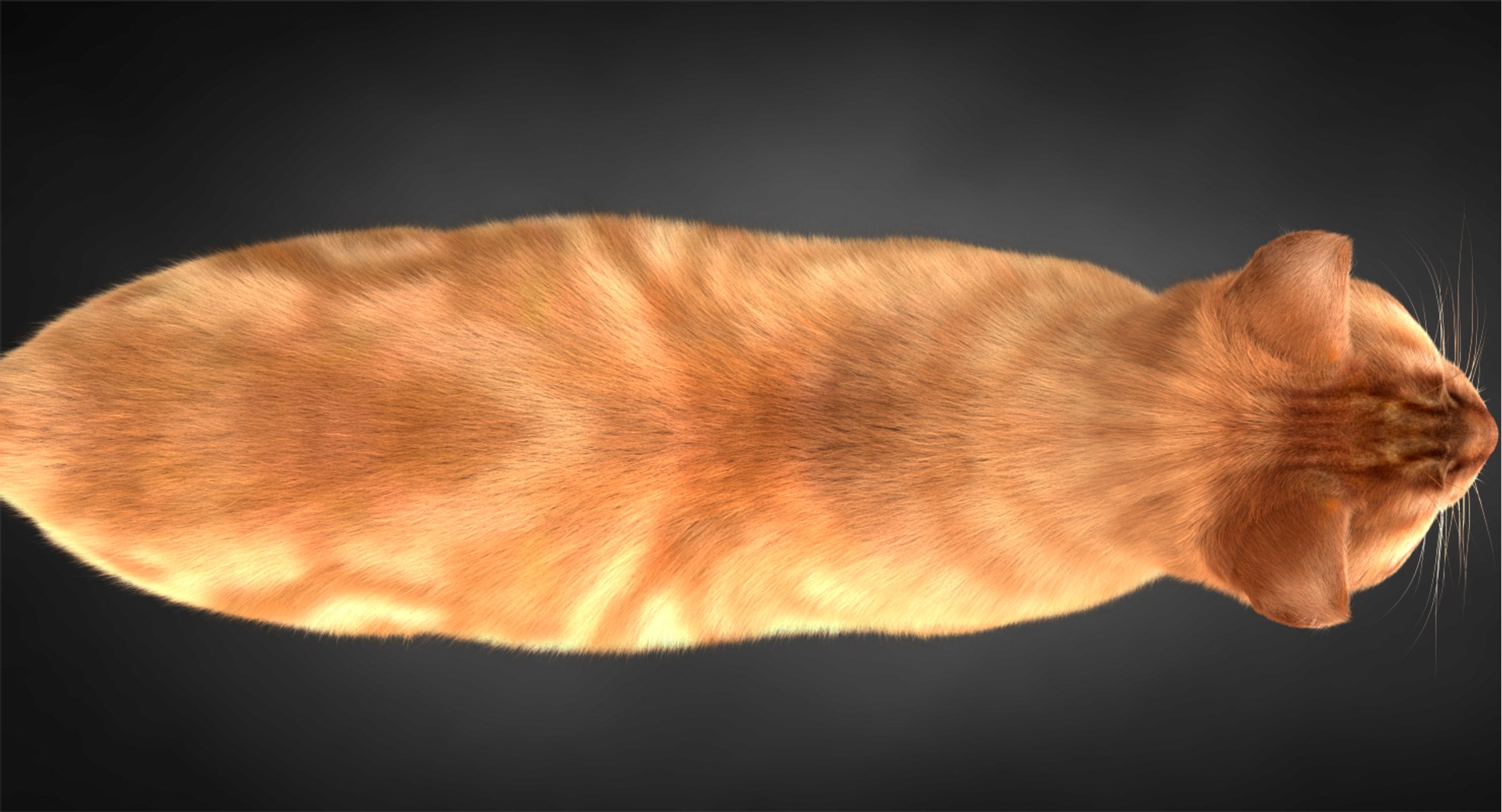 3D Ginger Cat Hair Model - TurboSquid 1315486