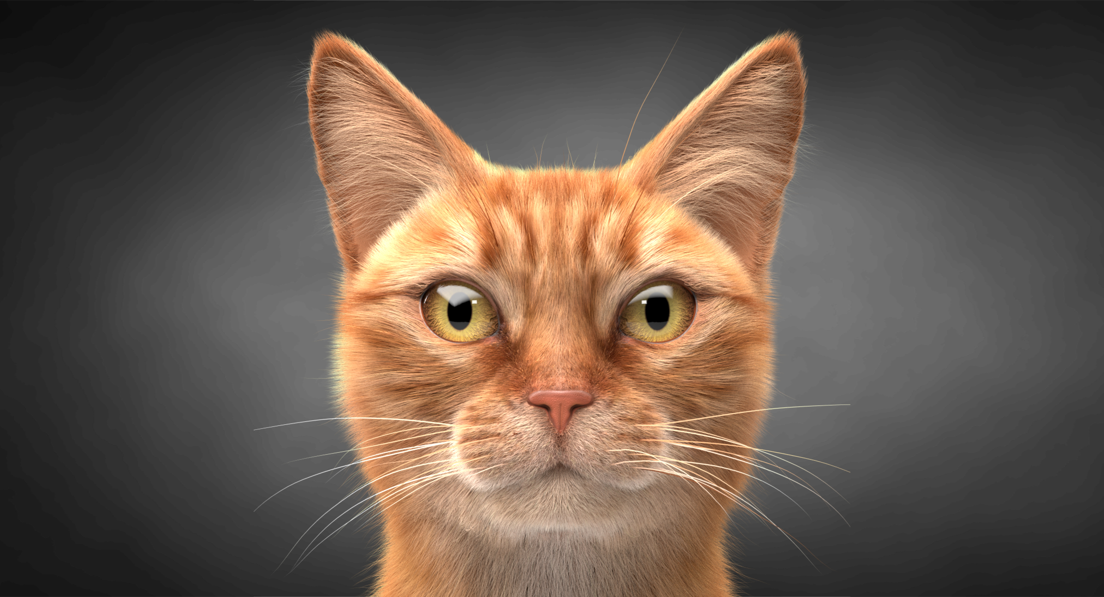 3D ginger cat hair model - TurboSquid 1315486
