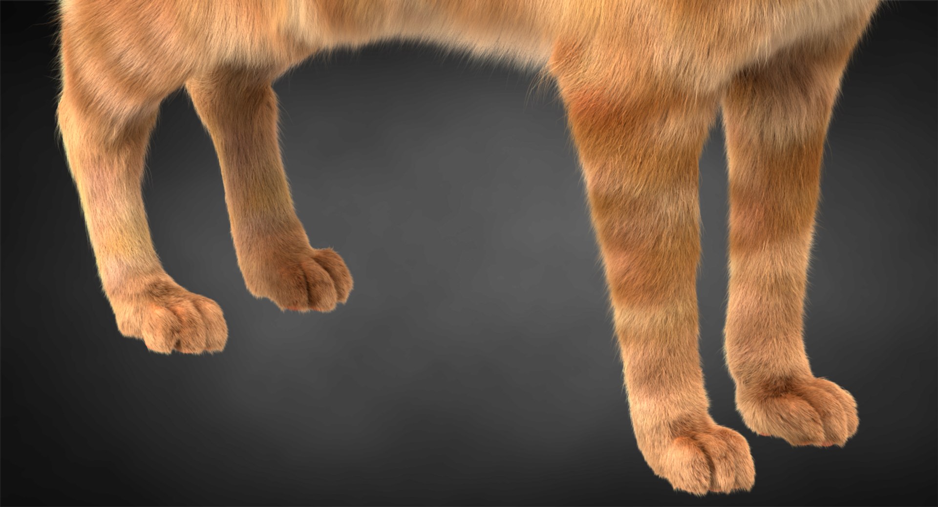 3D Ginger Cat Hair Model - TurboSquid 1315486
