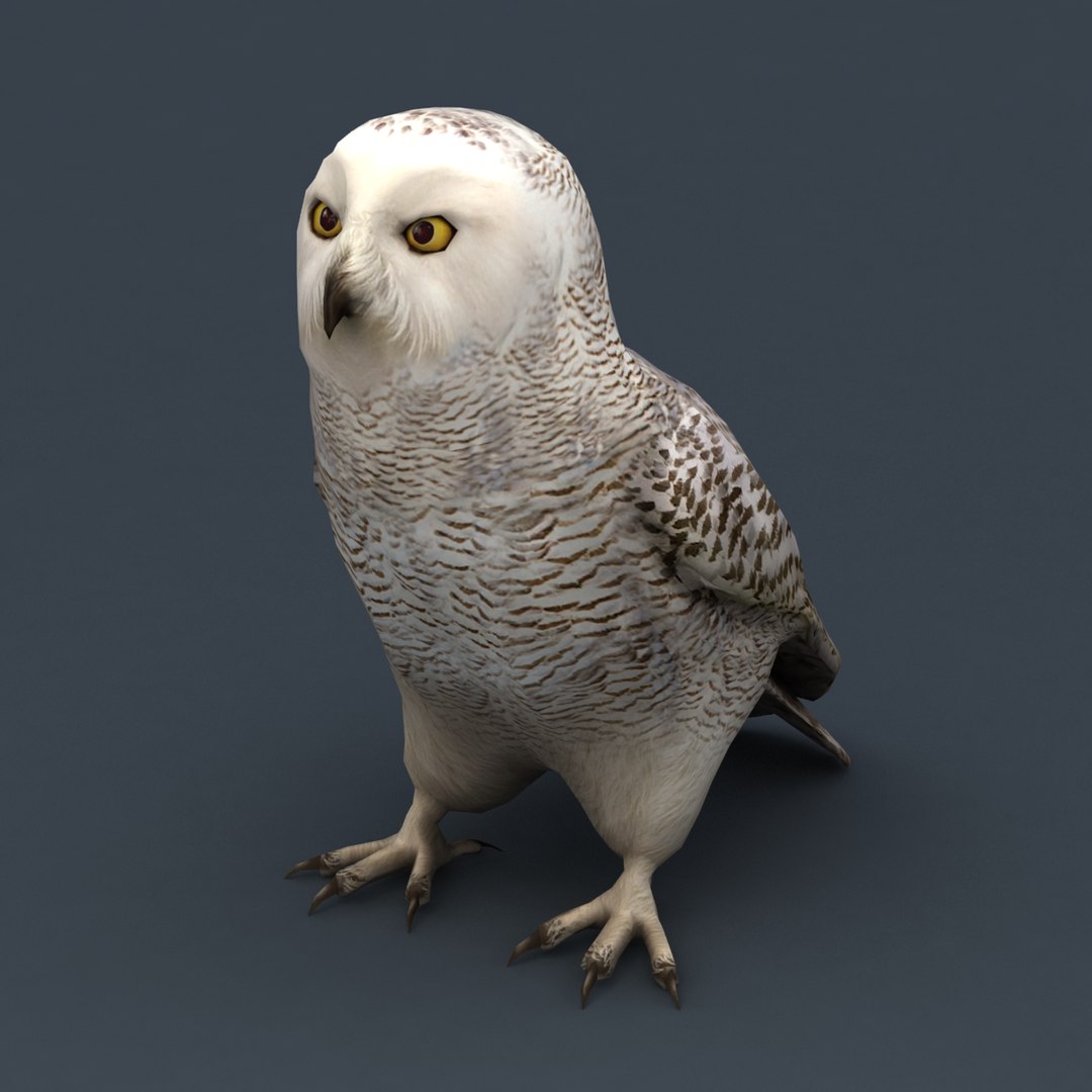 Max Rigged Snow Owl