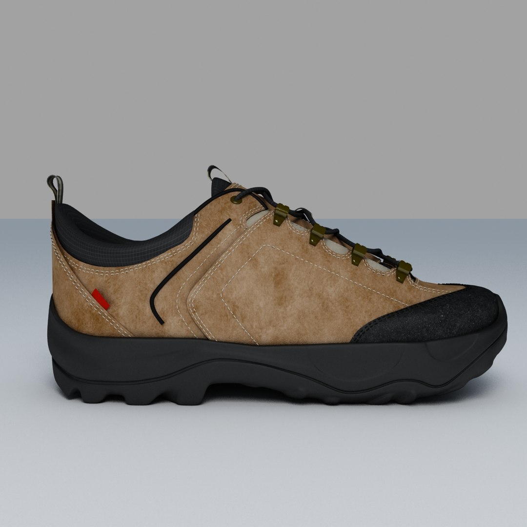 Shoe Ecco Xpedition 3d Max