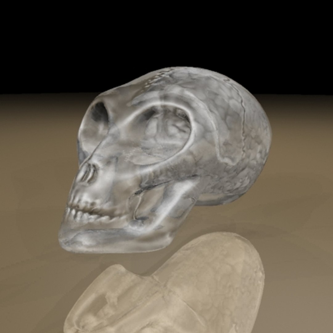 3d Glass Alien Skull Brain Model