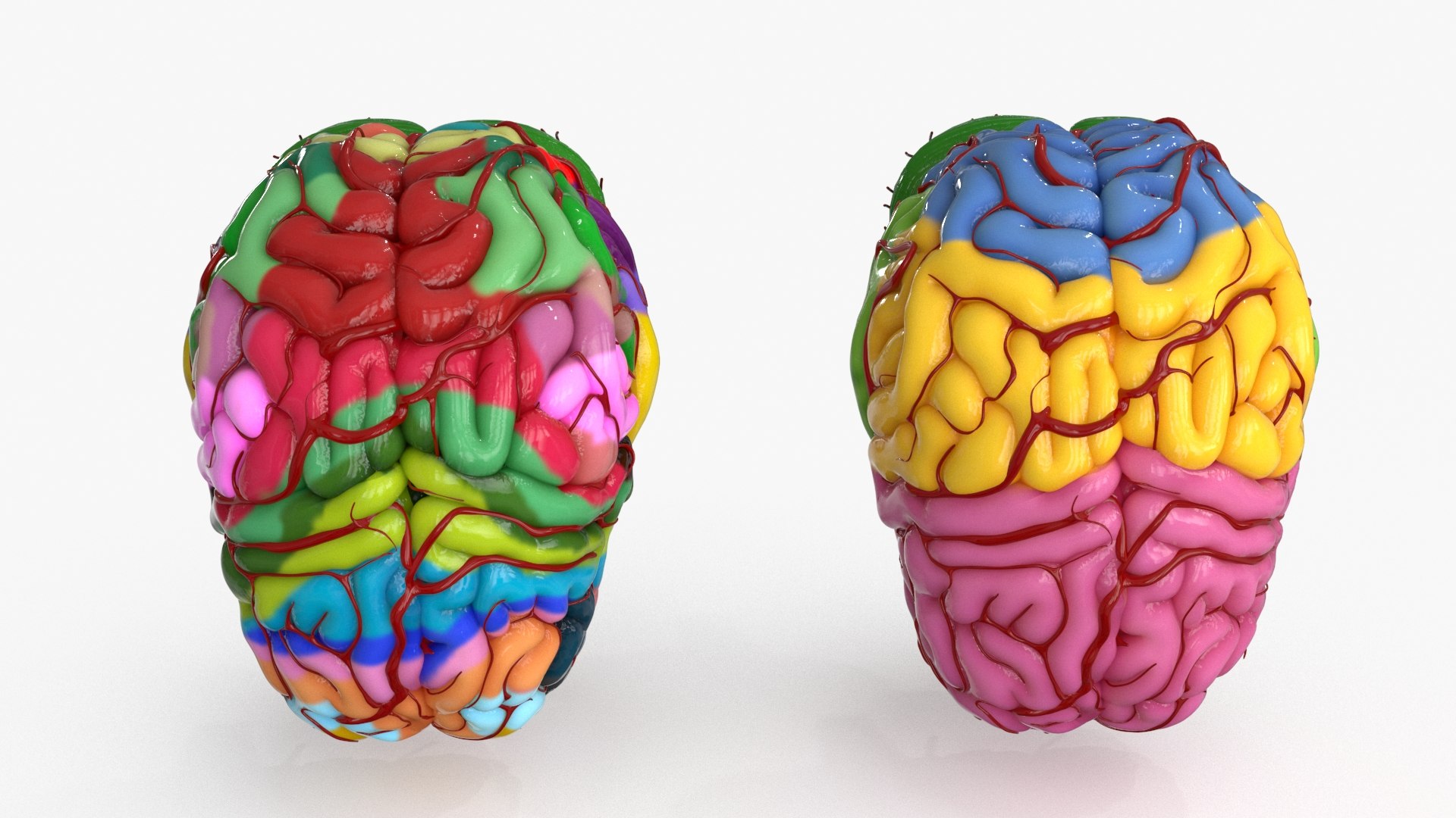 3D Brain Schematic Model - TurboSquid 2150660