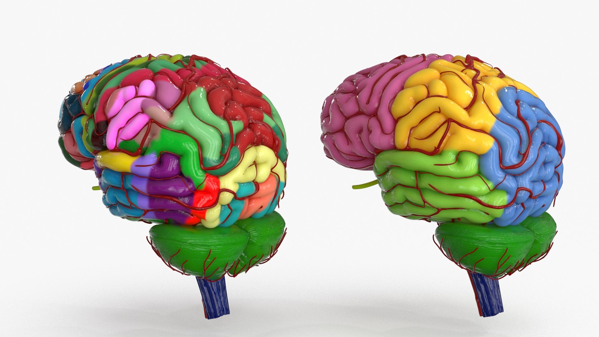 3D Brain Schematic Model - TurboSquid 2150660
