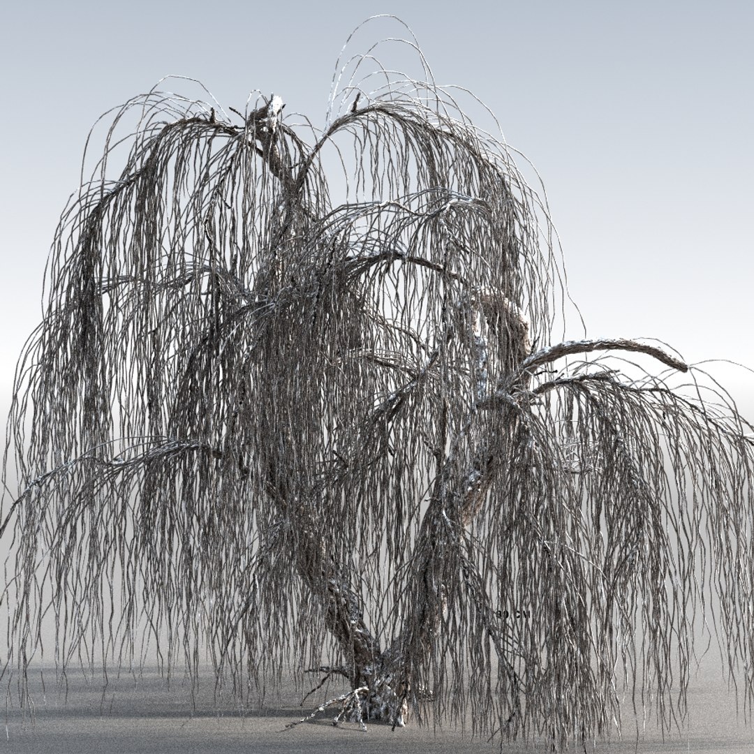 3d Tree Weeping Willow