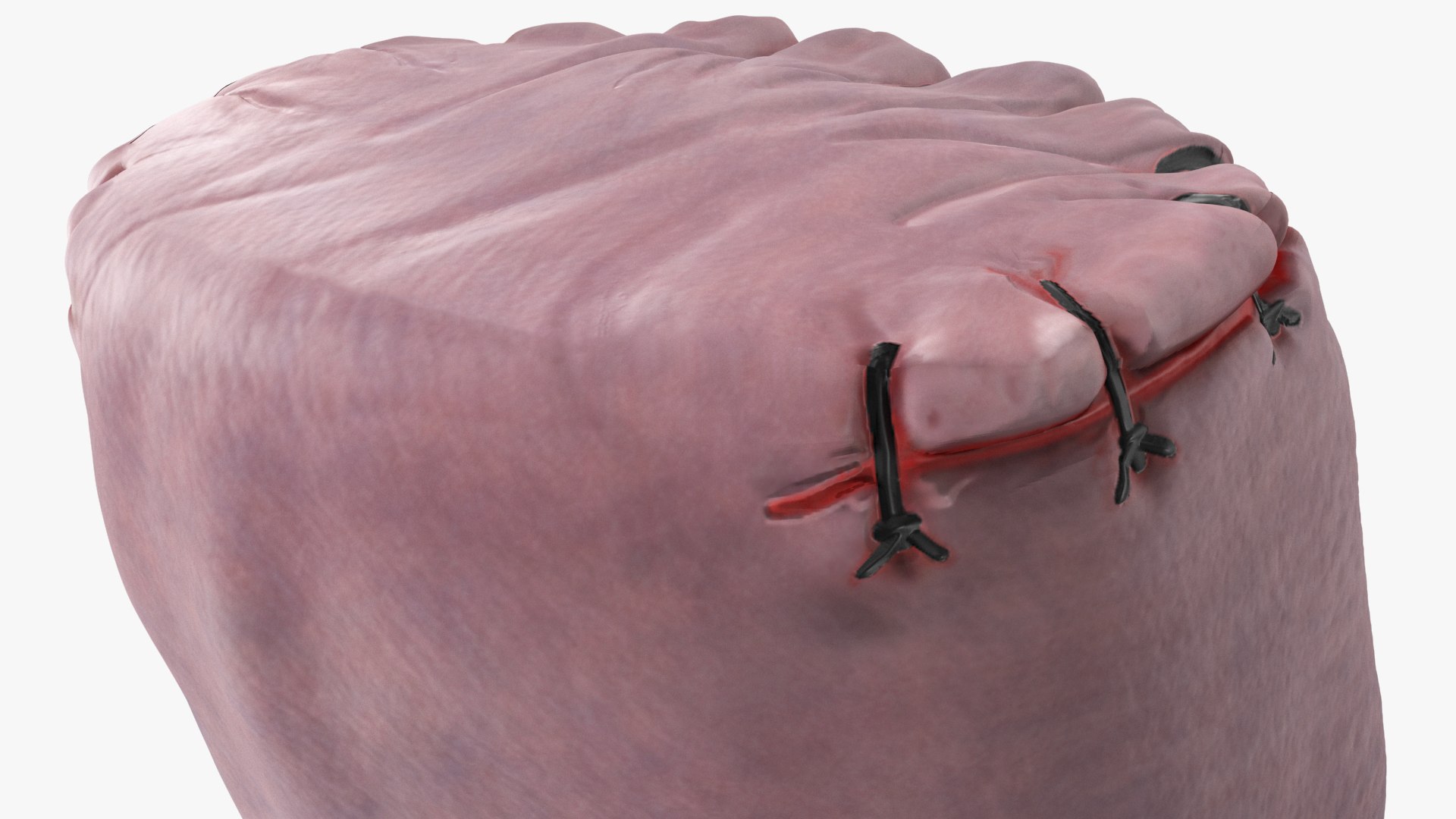 Thing Addams Family Character 3D - TurboSquid 2071686