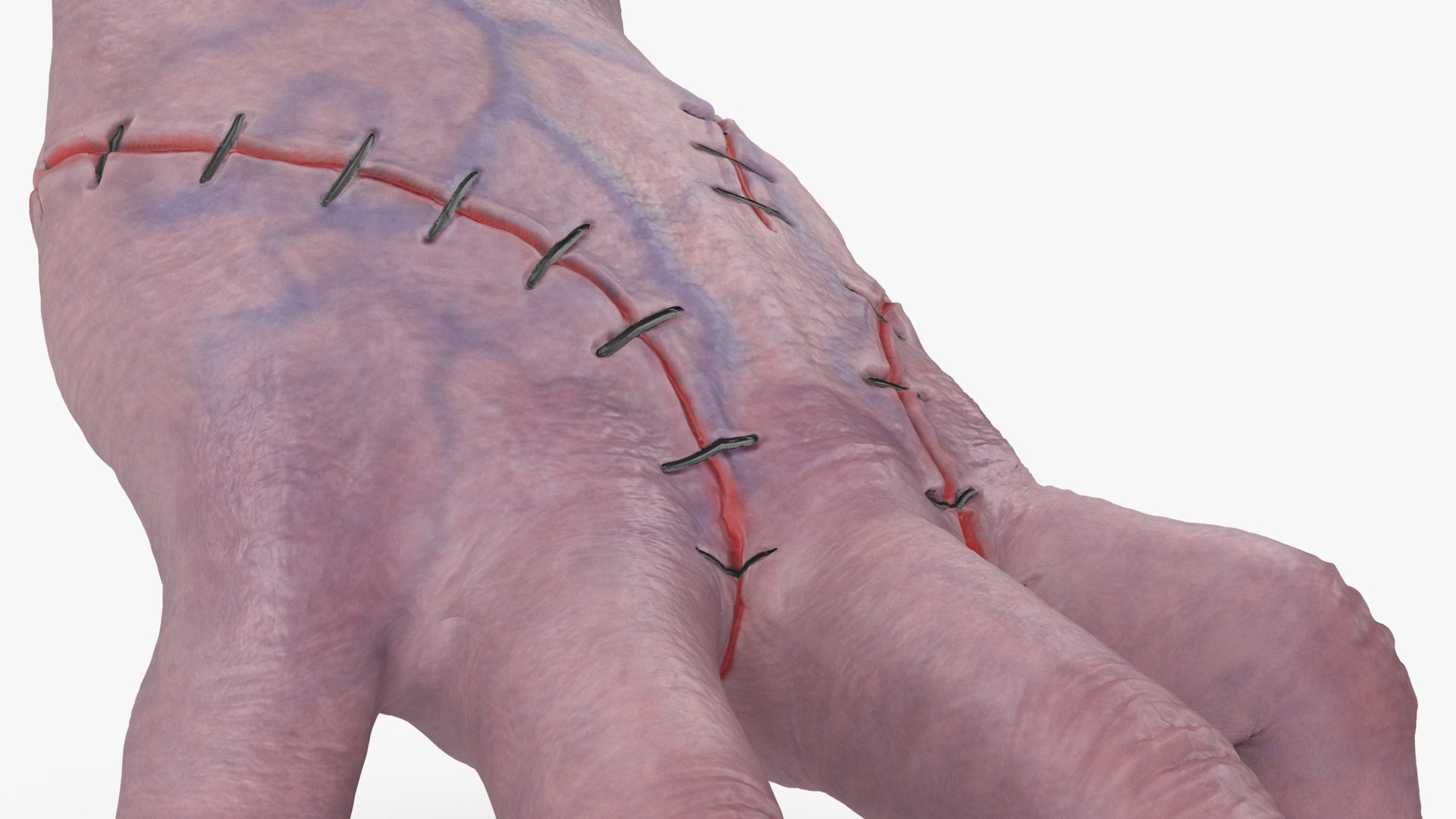 Thing Addams Family Character 3D - TurboSquid 2071686