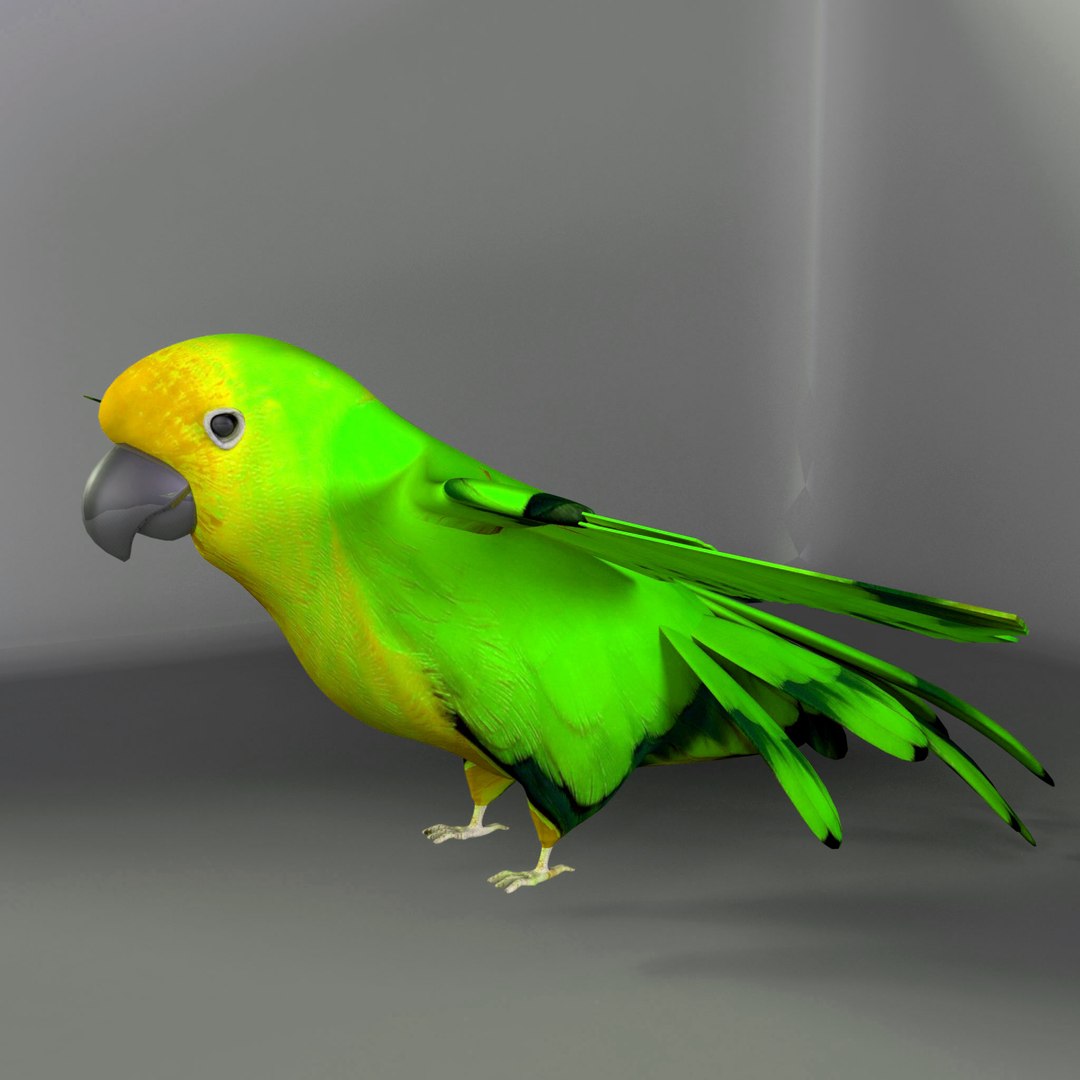 3d Ma Parrot Birds Macaws