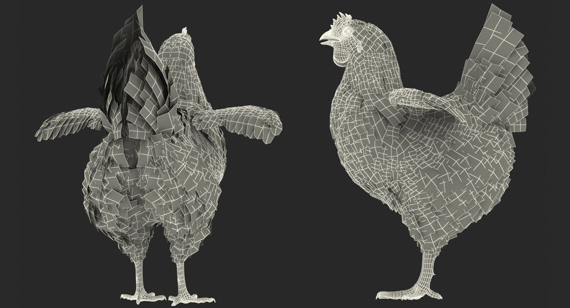 3d white chicken model