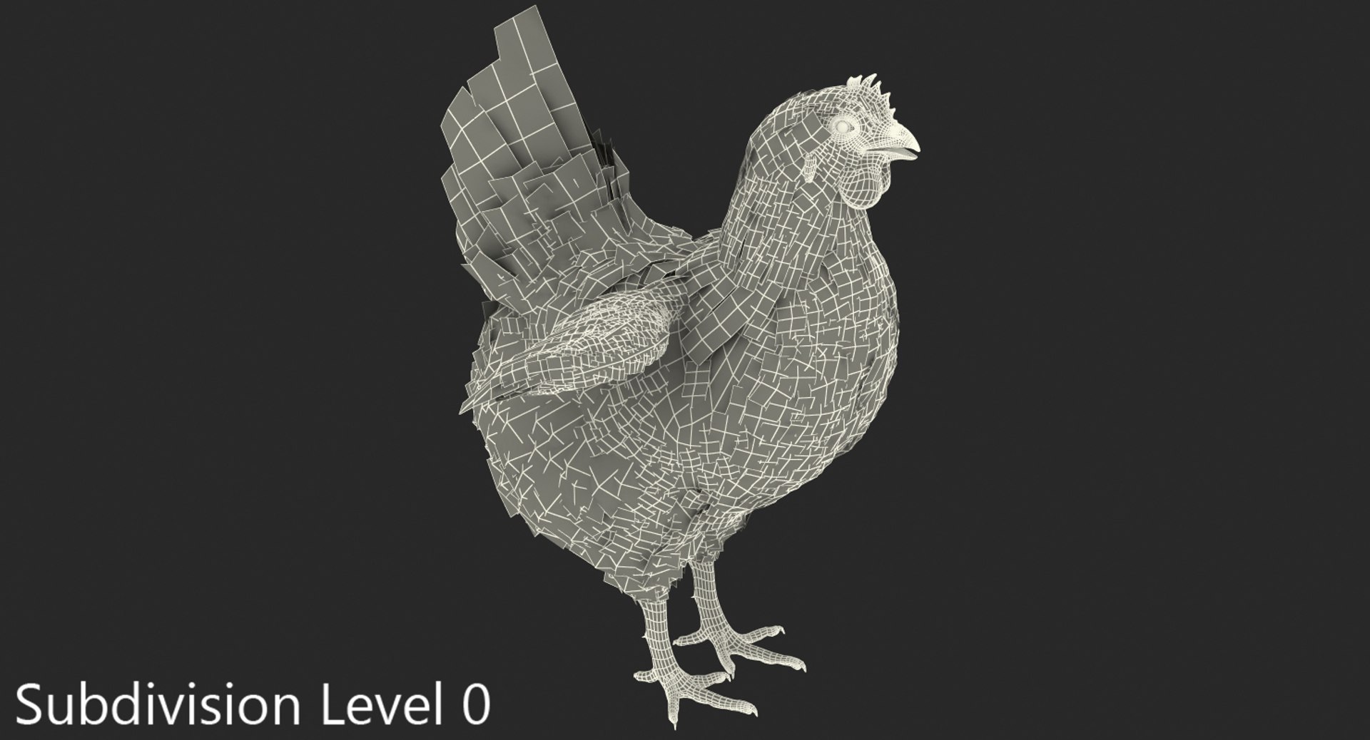 3d White Chicken Model