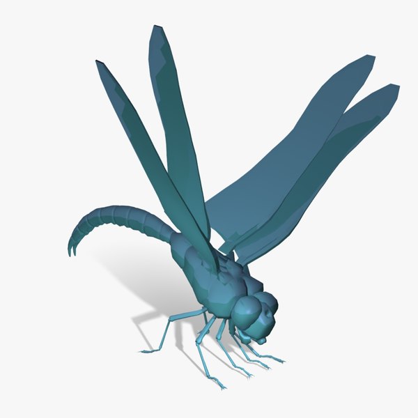 Dragonfly 3D Models for Download | TurboSquid