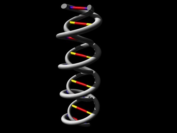 Free DNA 3D Models for Download | TurboSquid