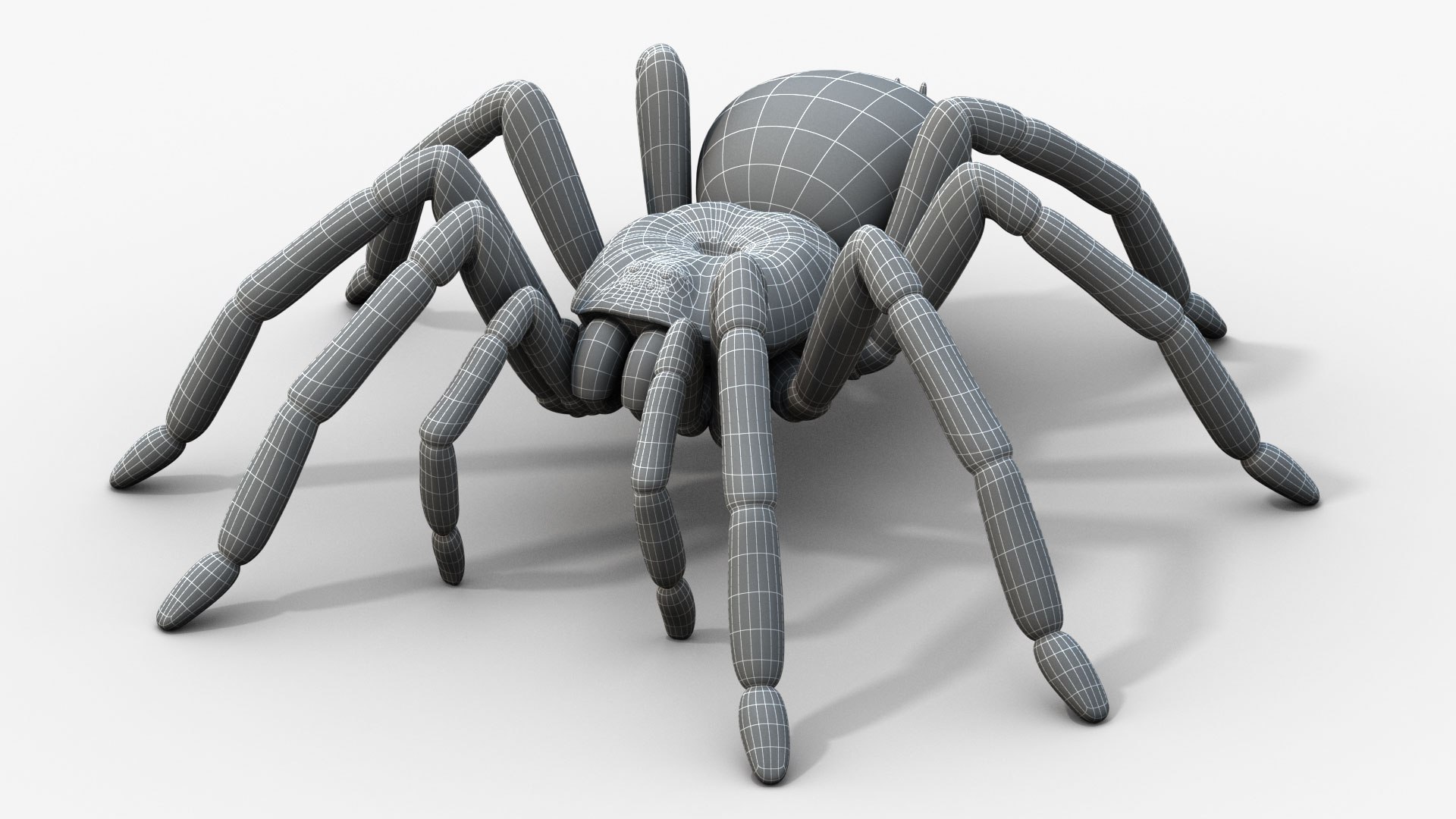 3D realistic tarantula hair animation - TurboSquid 1593505