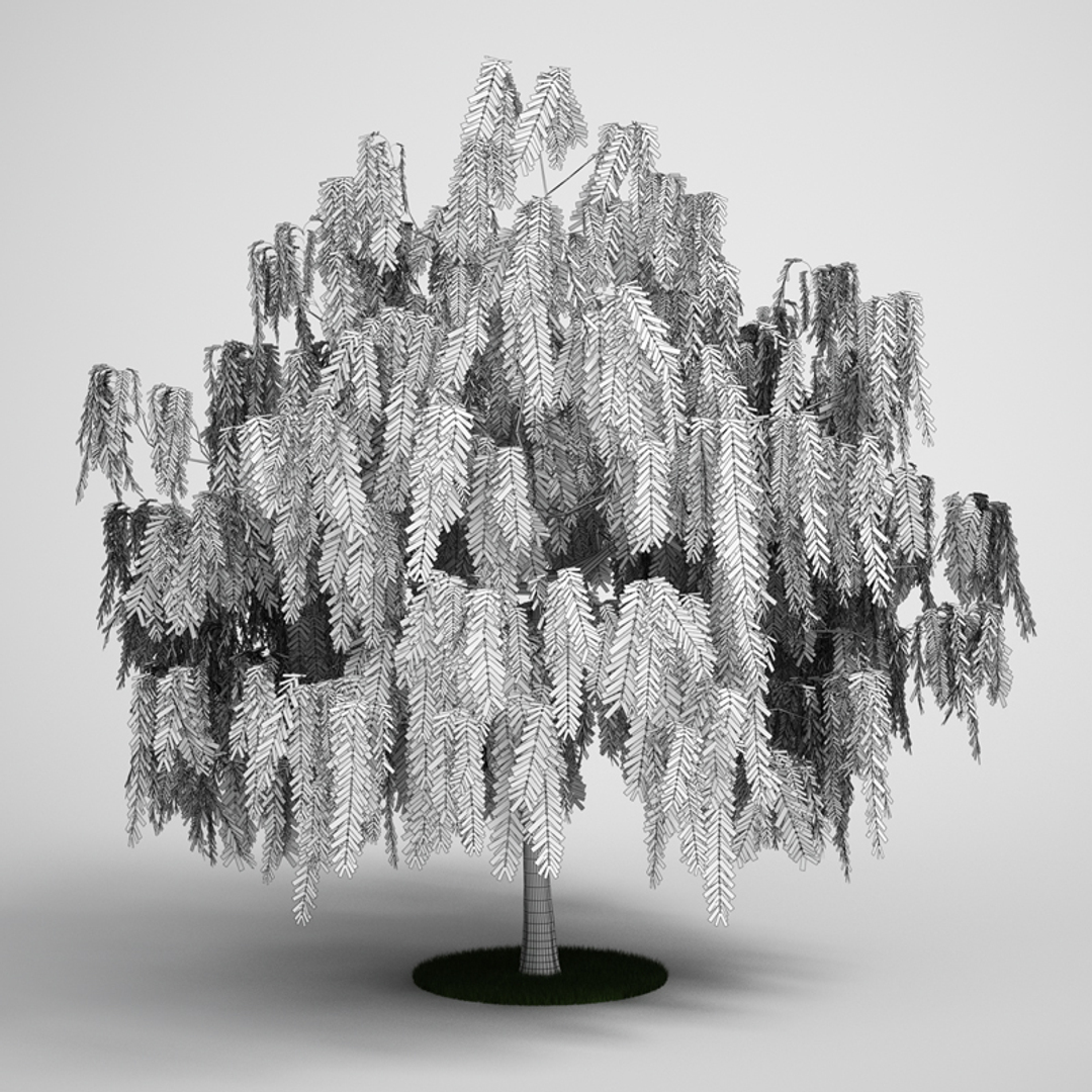 3ds max white willow