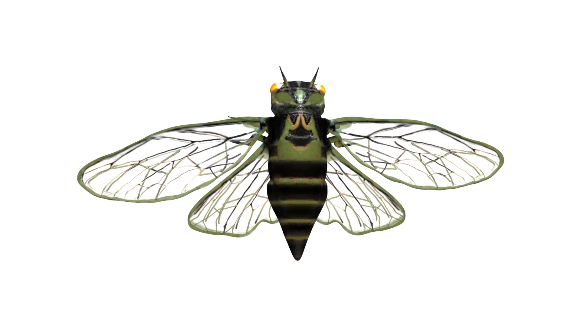Fully Rigged Low Poly Cicada 3D Model - TurboSquid 1758458