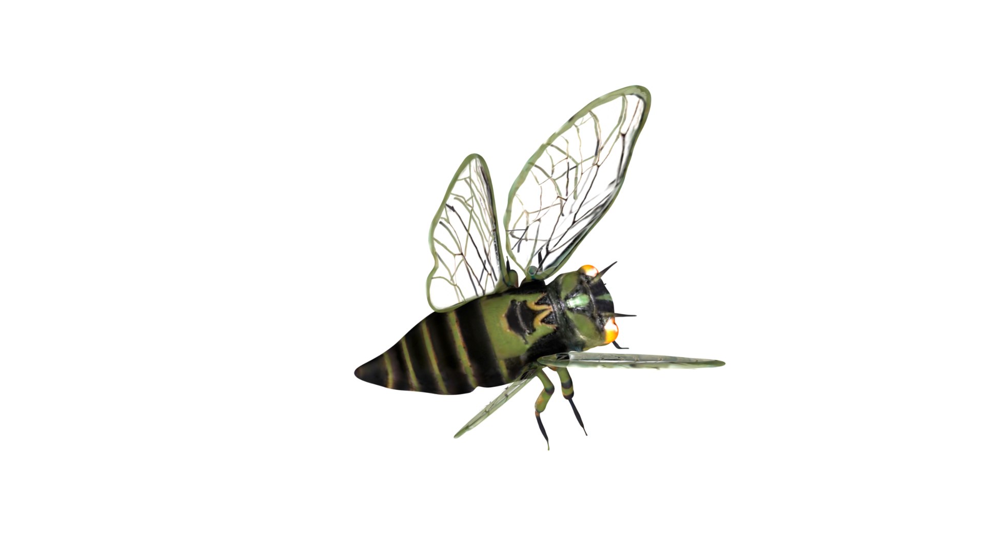 Fully Rigged Low Poly Cicada 3D Model - TurboSquid 1758458
