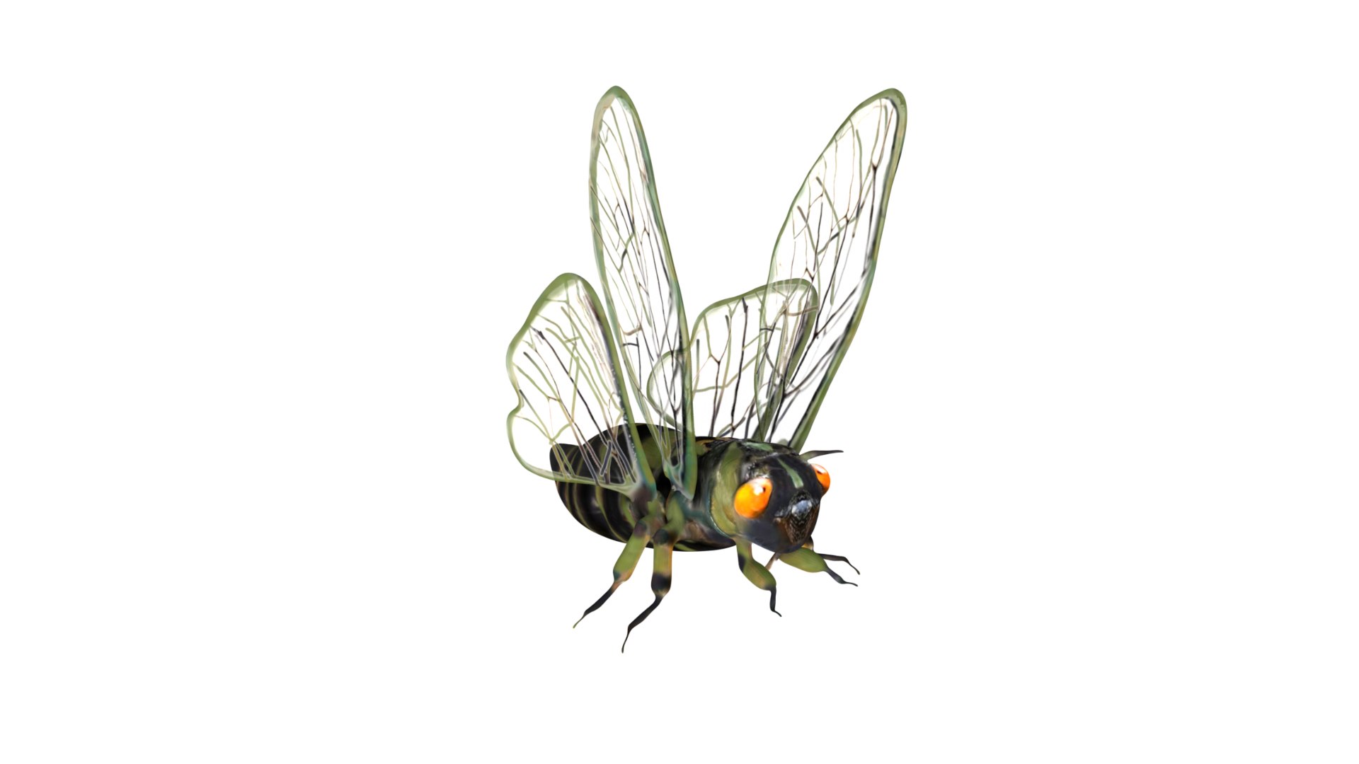 Fully Rigged Low Poly Cicada 3D Model - TurboSquid 1758458
