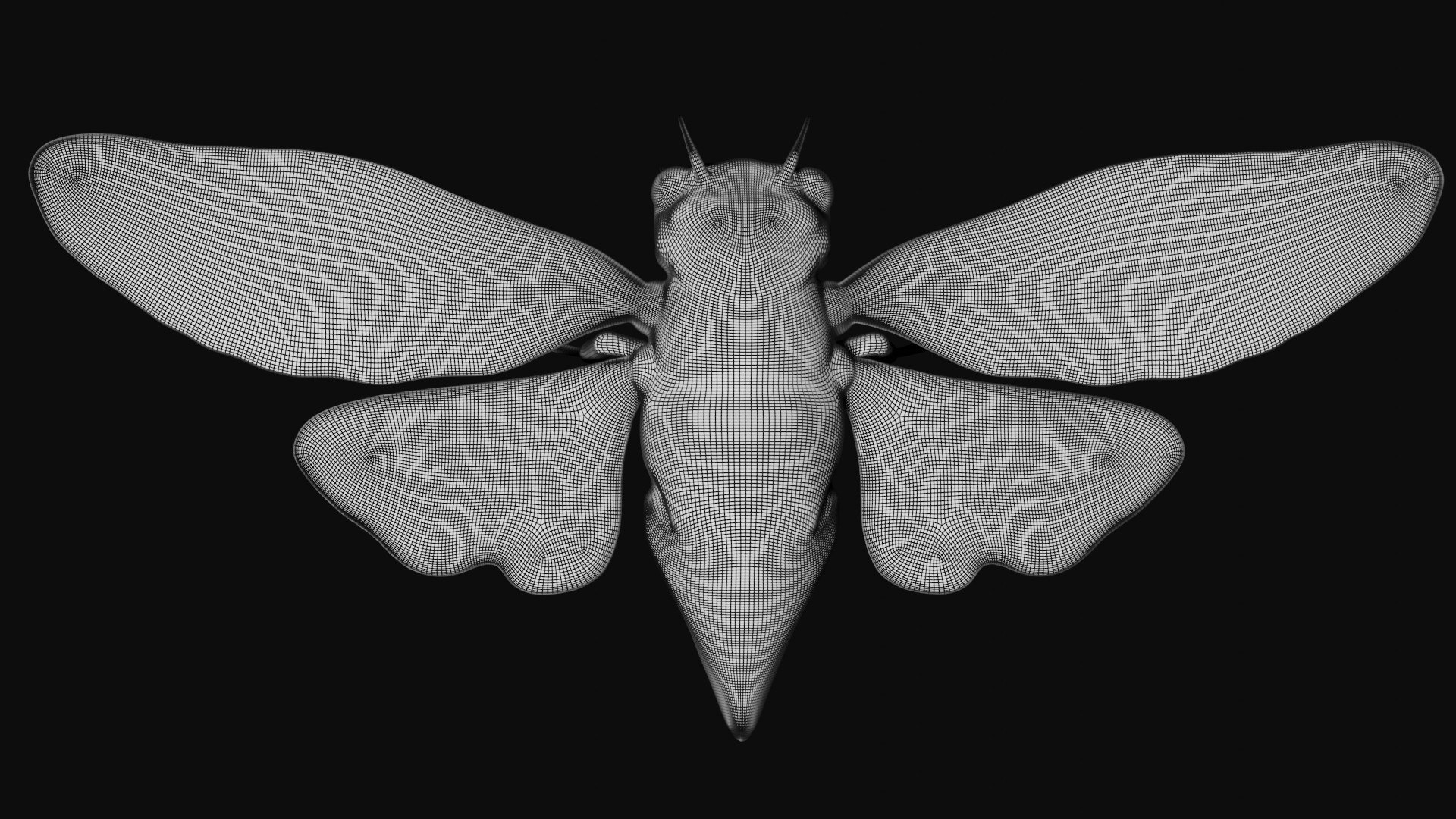 Fully Rigged Low Poly Cicada 3D Model - TurboSquid 1758458