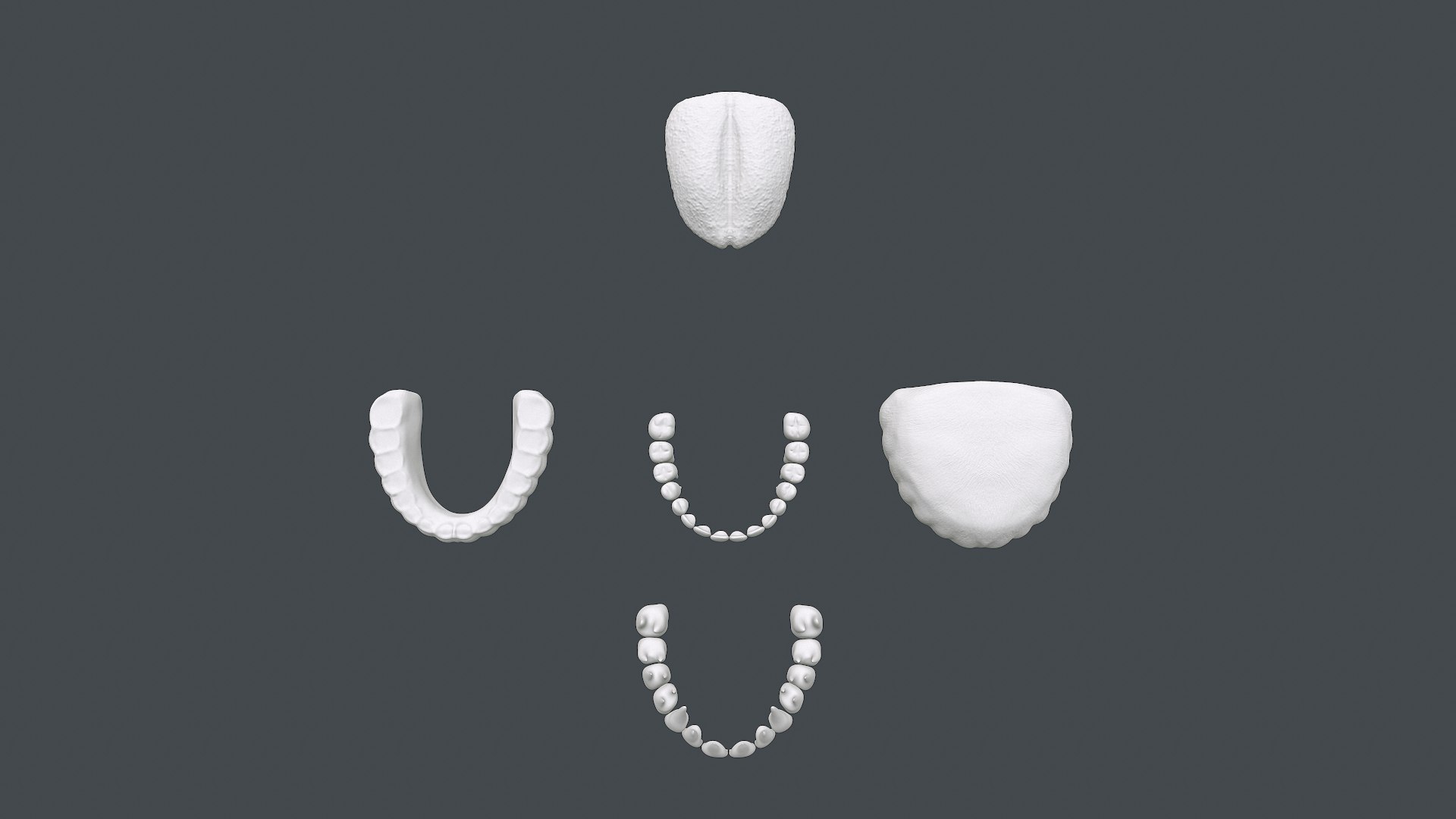 3D Monster Jaws - TurboSquid 1729650