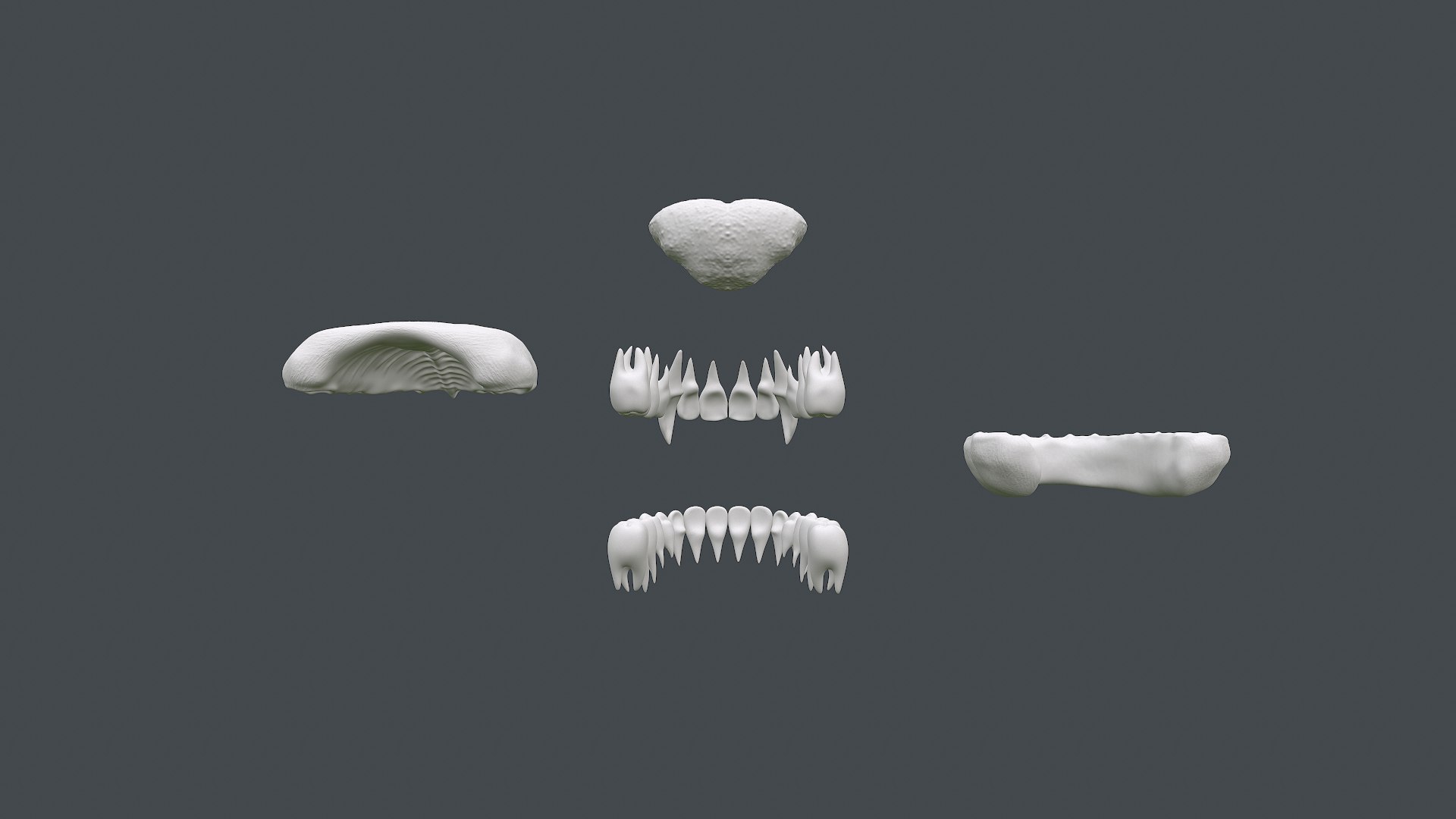 3D Monster Jaws - TurboSquid 1729650