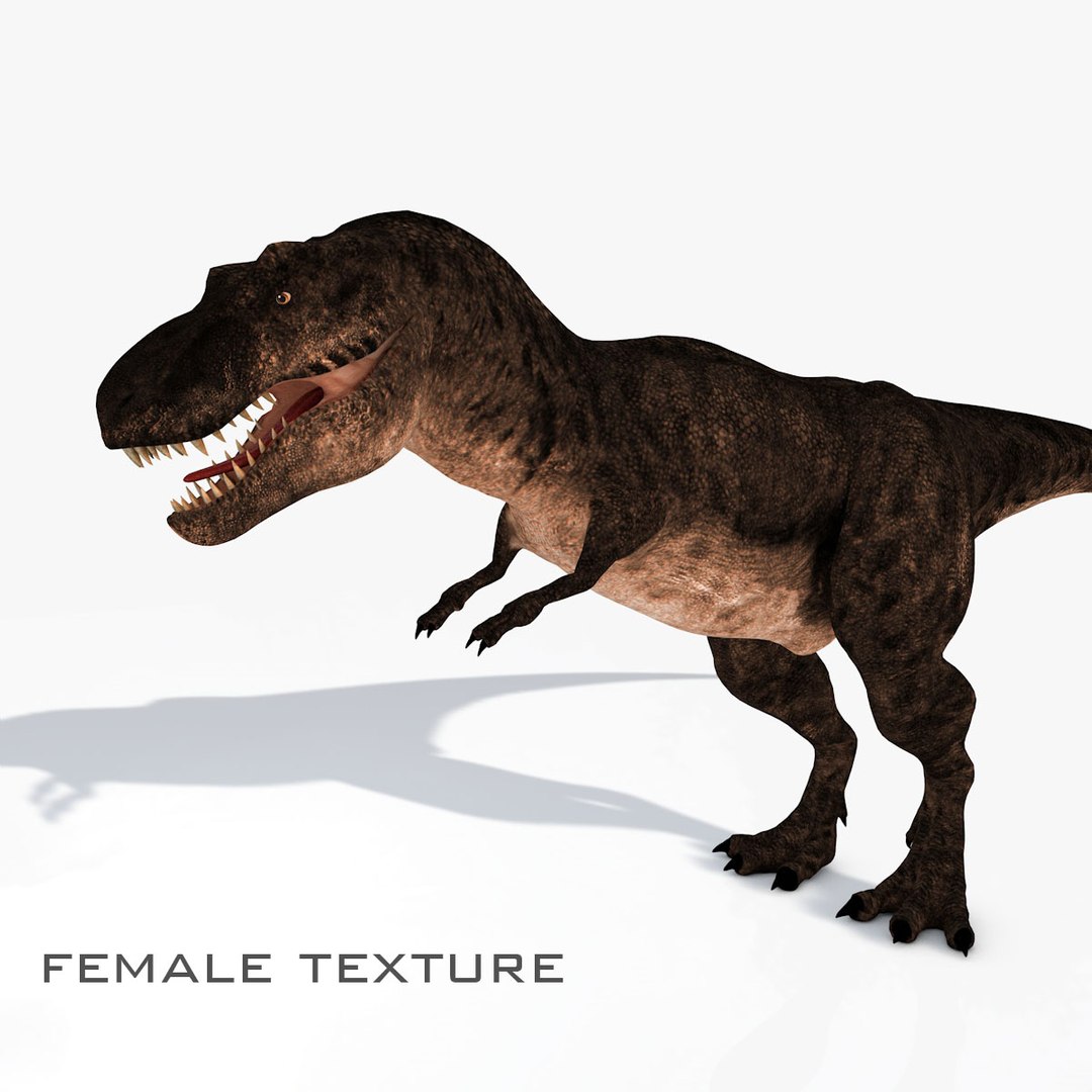 Tyrannosaurus Rex T-rex 3d Model