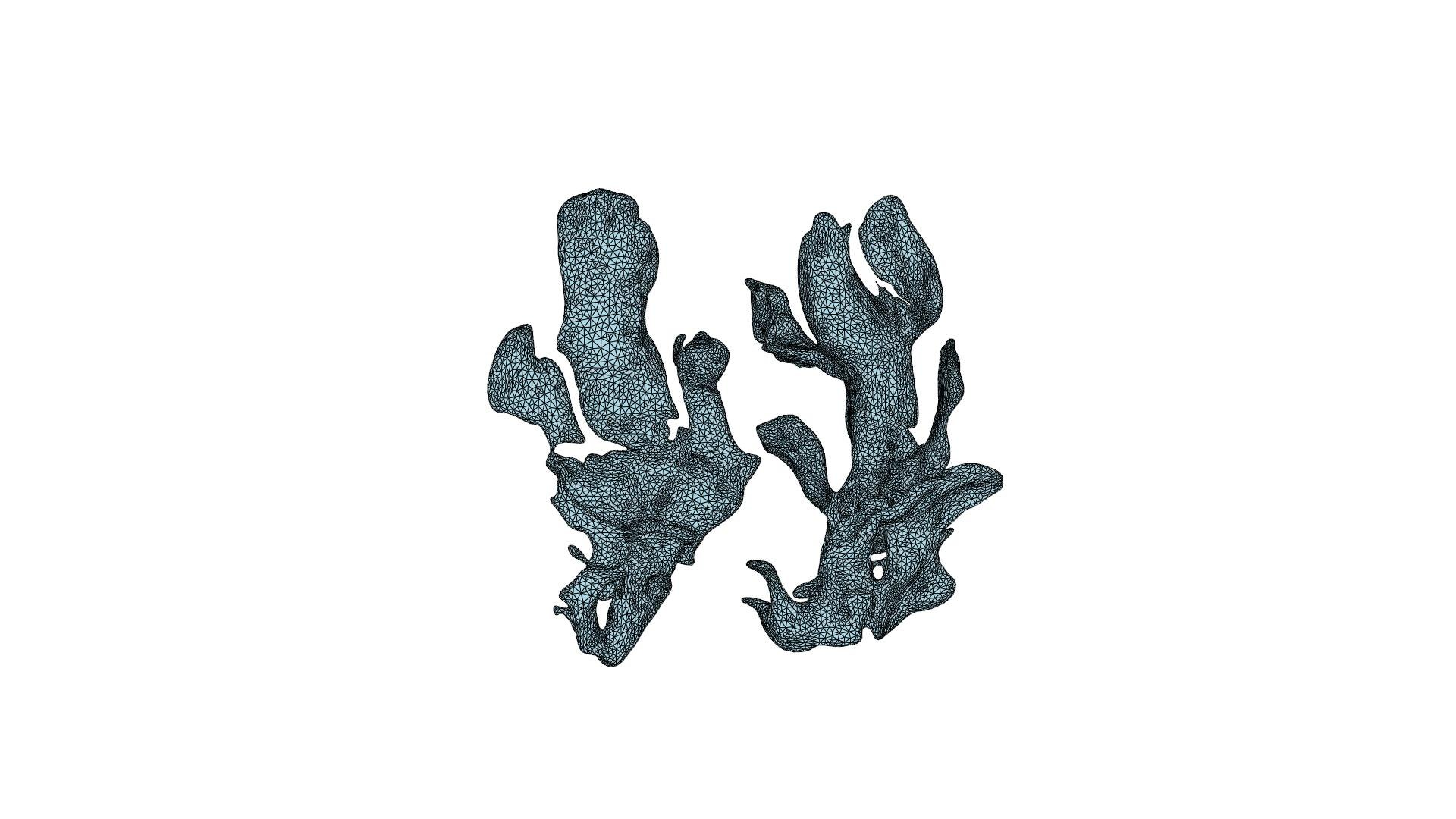 3D Seaweed - TurboSquid 2221427