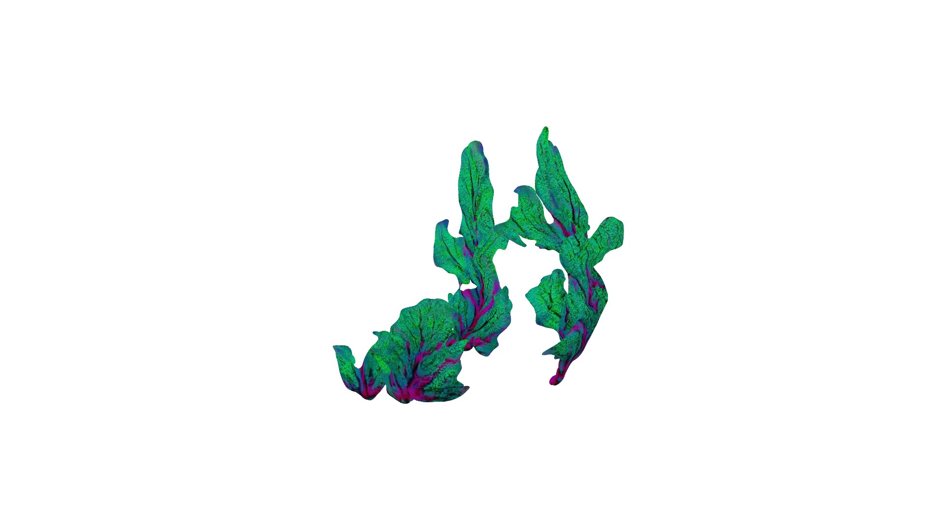 3D Seaweed - TurboSquid 2221427