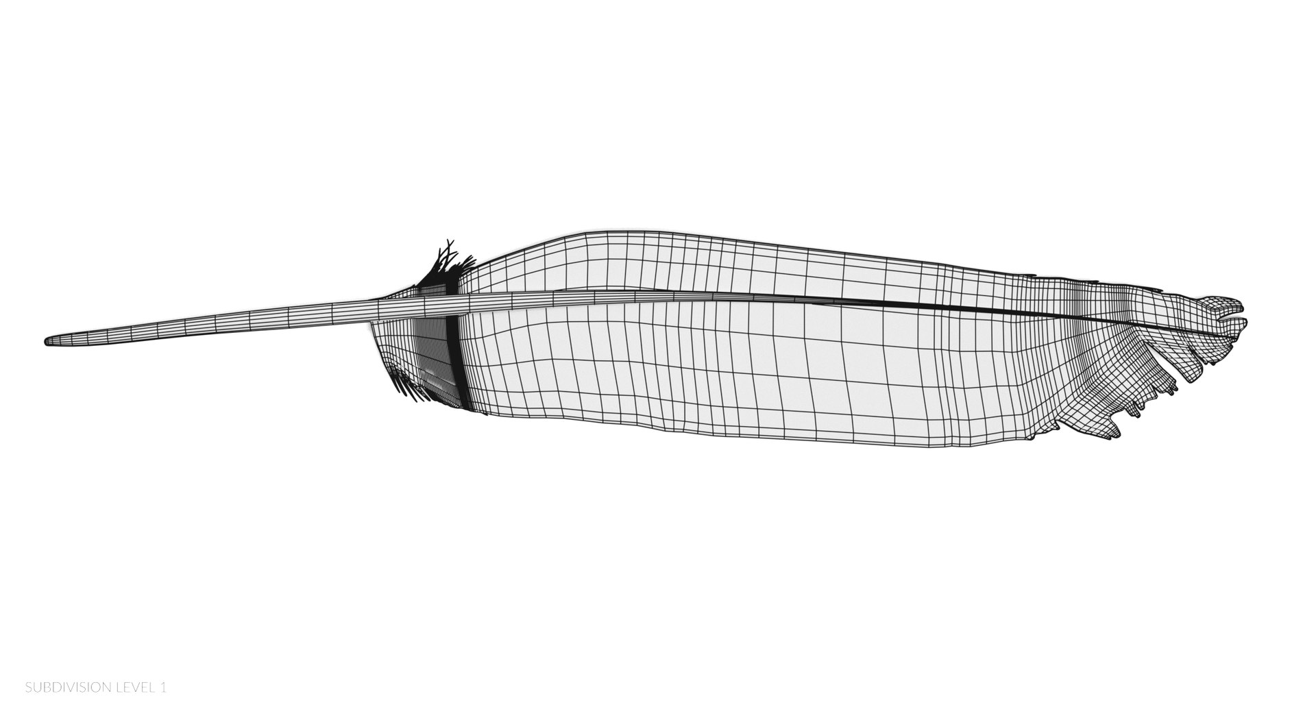 Bird Feather 3D - TurboSquid 1302084