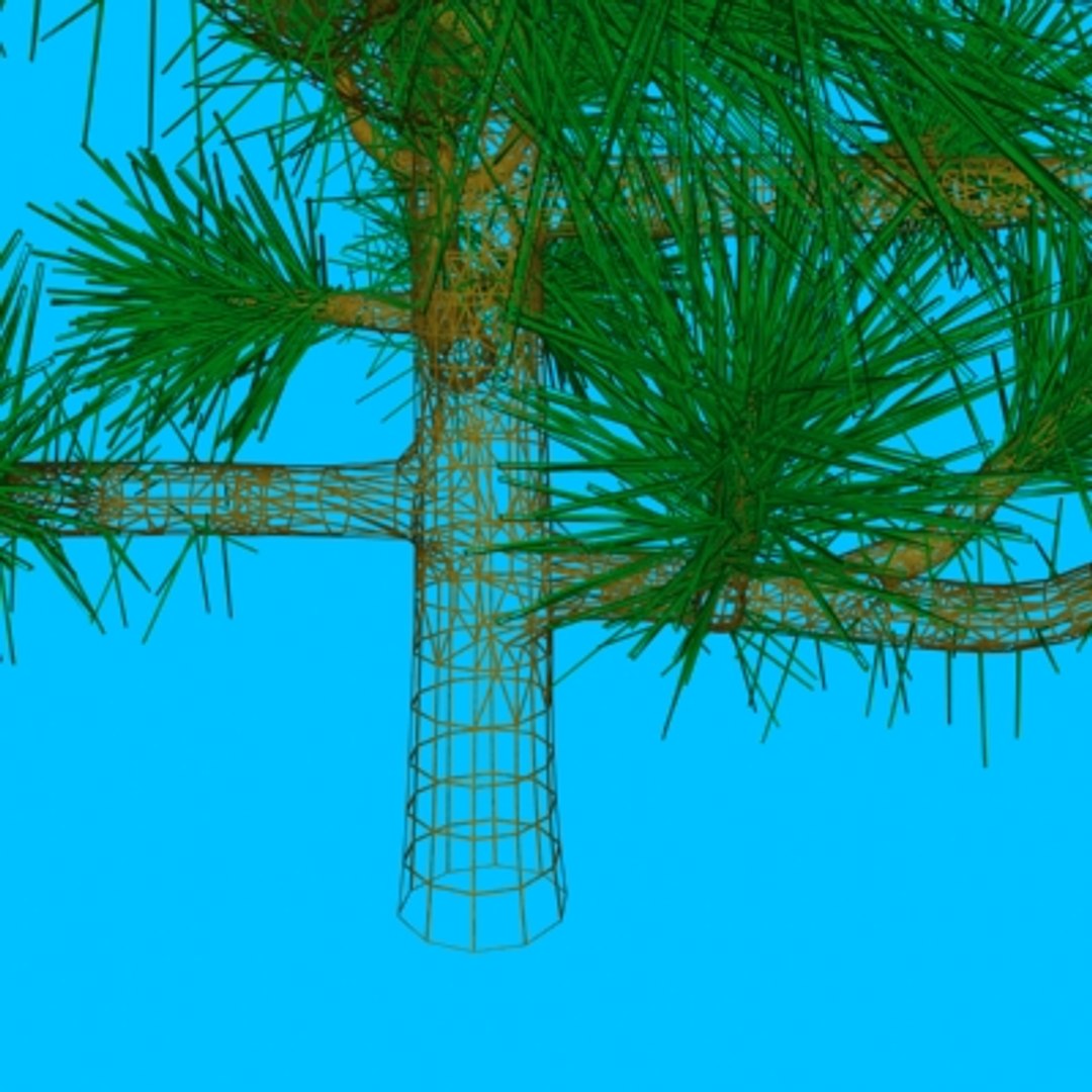 Jack Pine Tree 3d 3ds