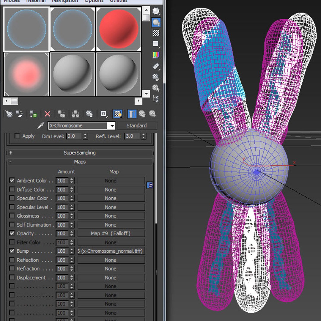Chromosome x y 3D model - TurboSquid 1244370