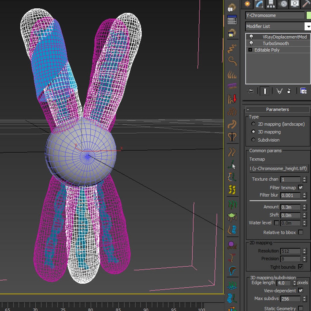 Chromosome x y 3D model - TurboSquid 1244370