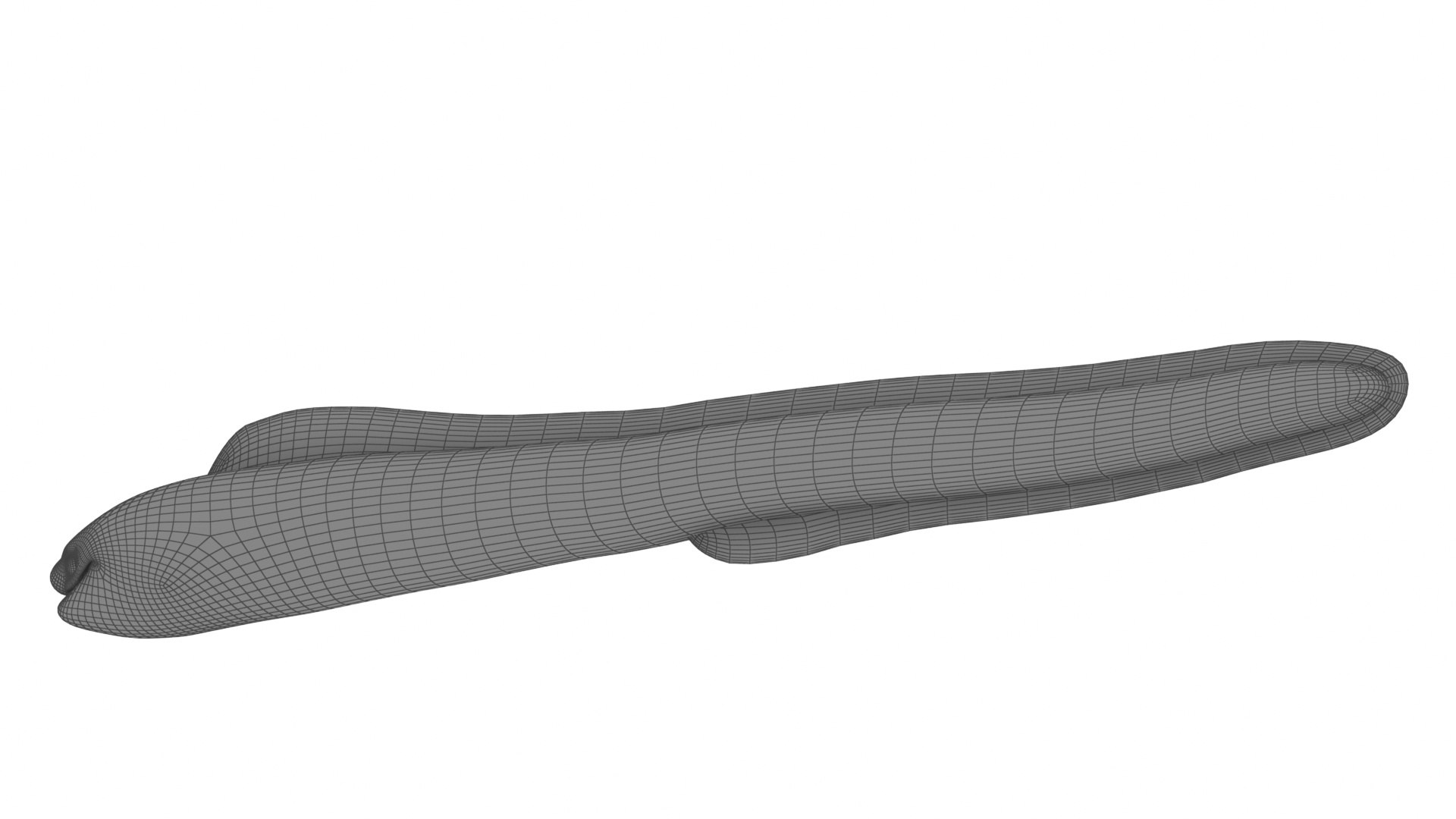 3D Cartoon Eel - TurboSquid 2086588