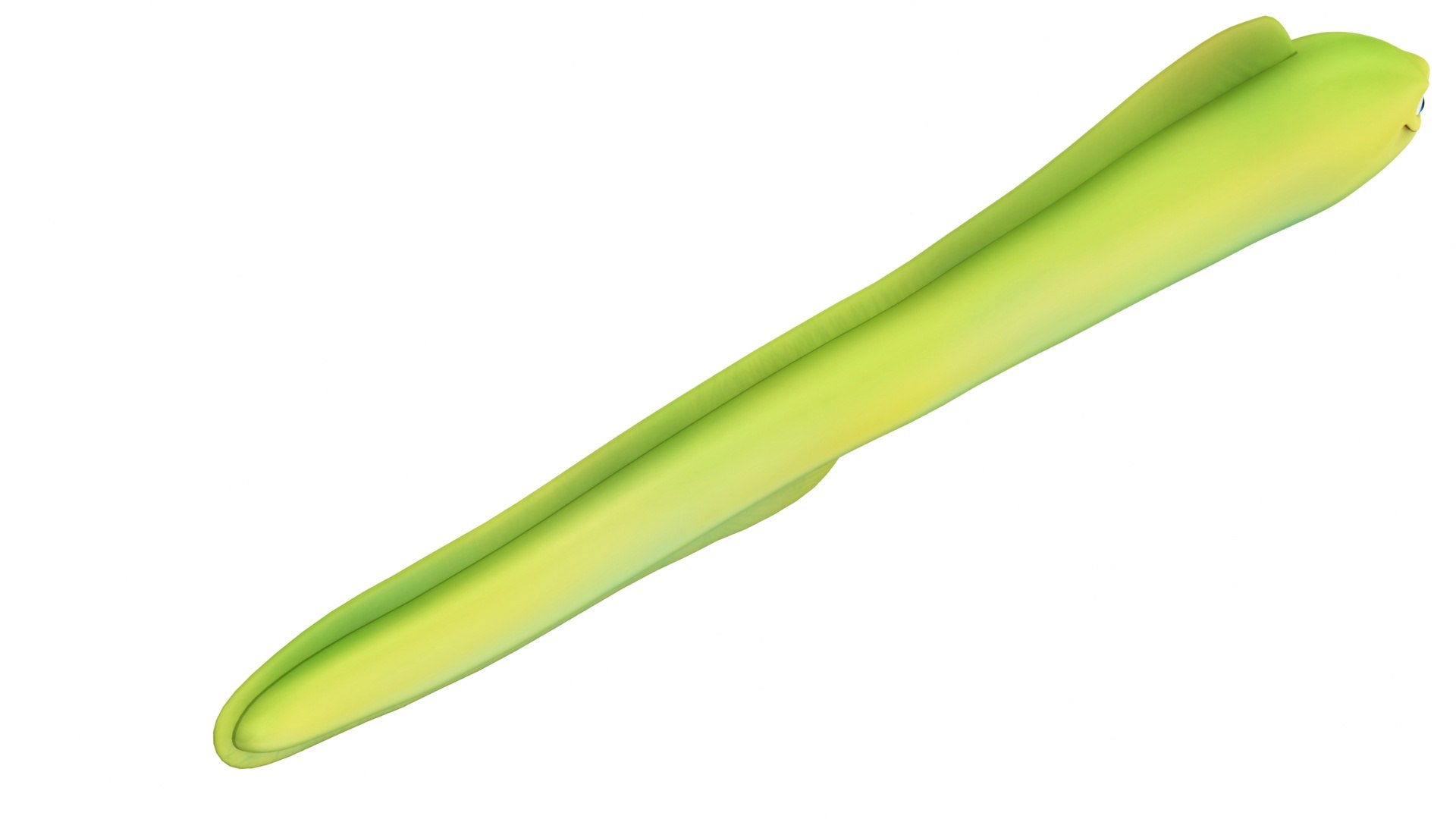 3D Cartoon Eel - TurboSquid 2086588