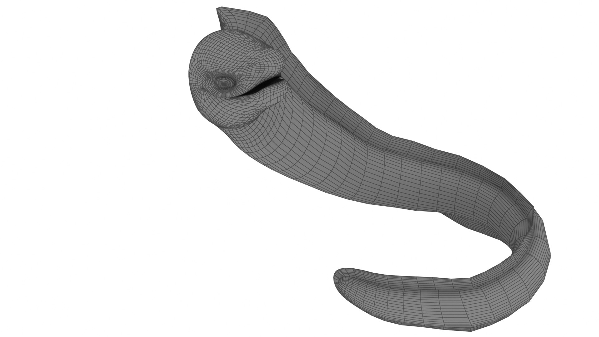 3D Cartoon Eel - TurboSquid 2086588