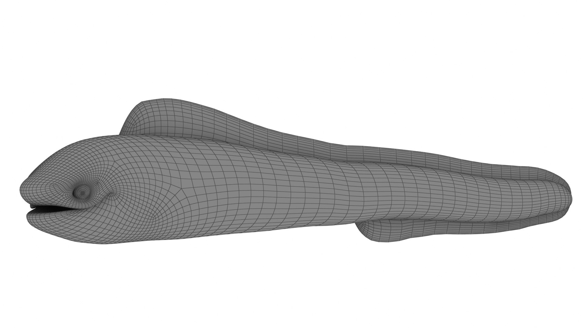 3D Cartoon Eel - TurboSquid 2086588