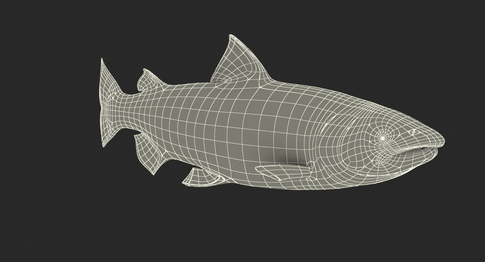 3D Swimming Atlantic Salmon Fish - TurboSquid 1564320