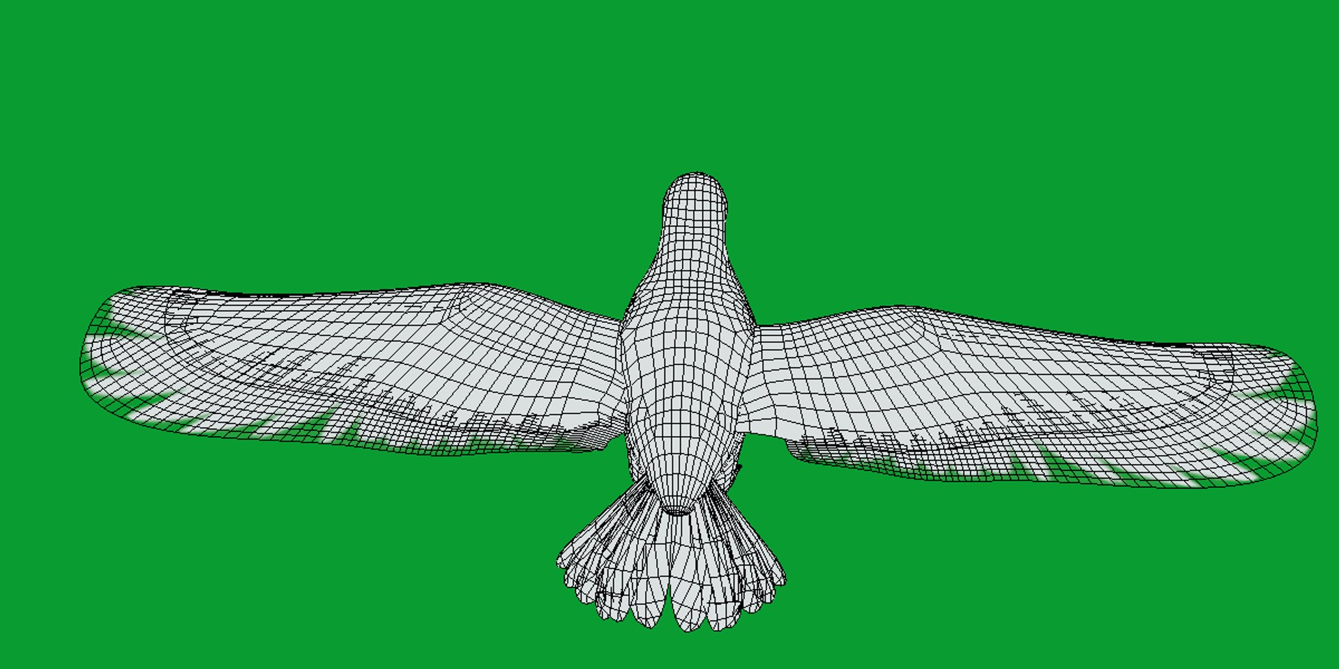 3D Osprey Sea Hawk Bird Model - TurboSquid 2366693