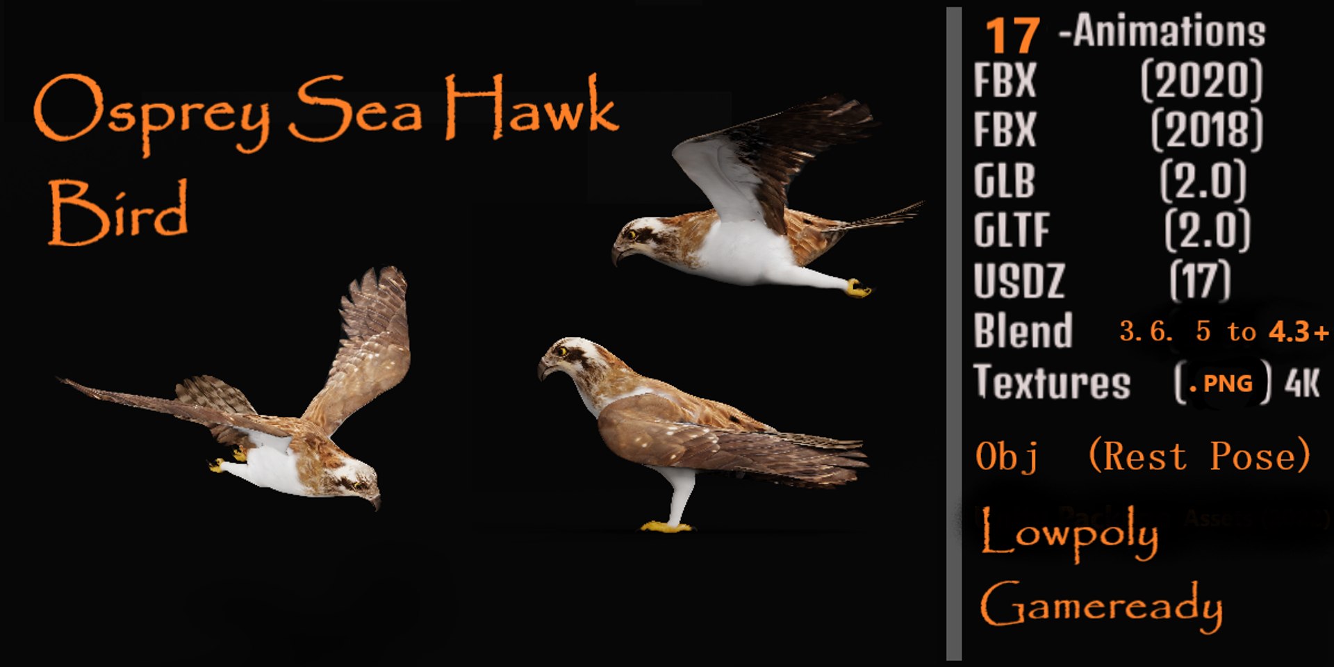 3D Osprey Sea Hawk Bird Model - TurboSquid 2366693