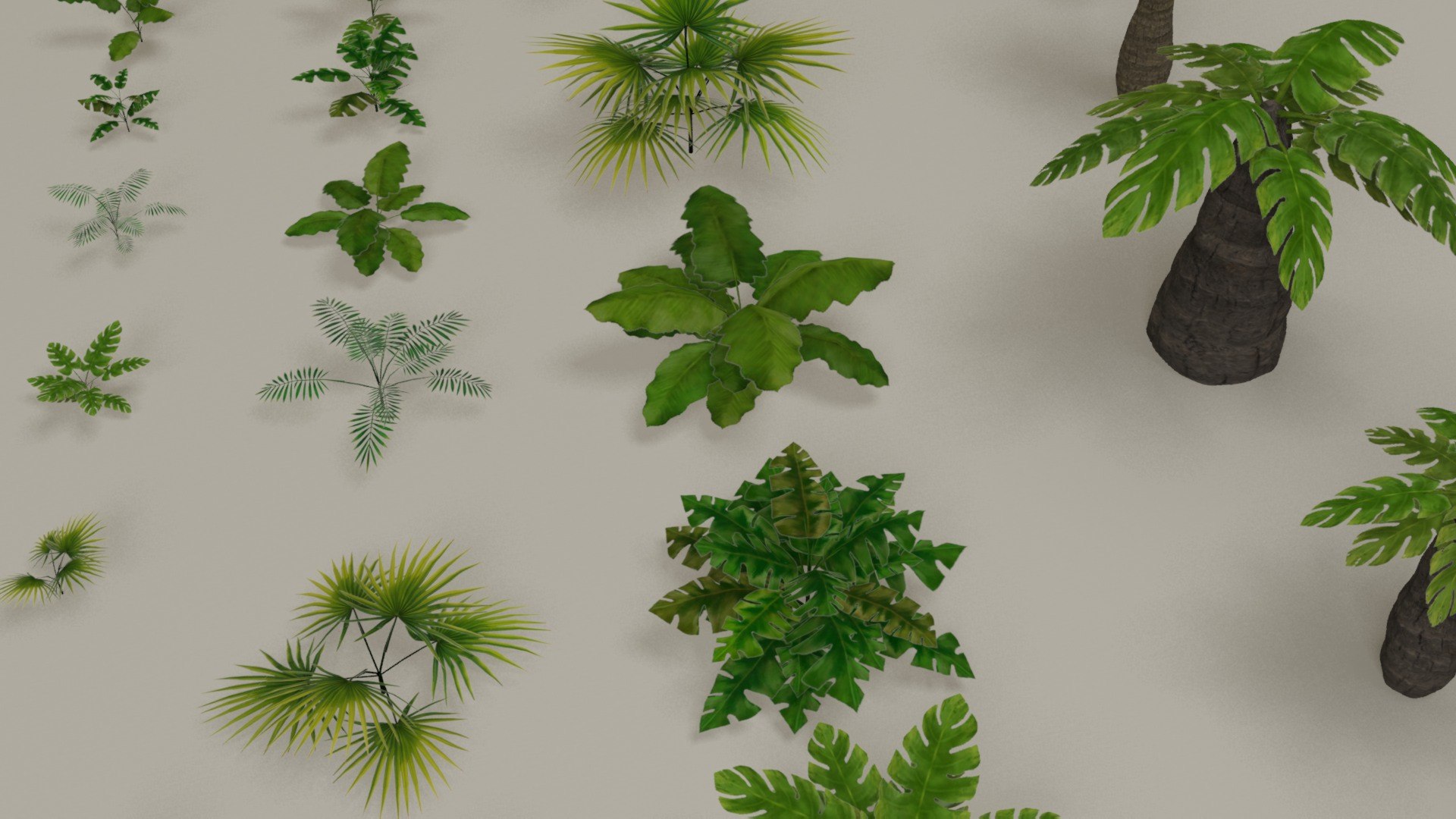 3D Tropical Jungle Plants And Palms Collection Model - TurboSquid 1887931