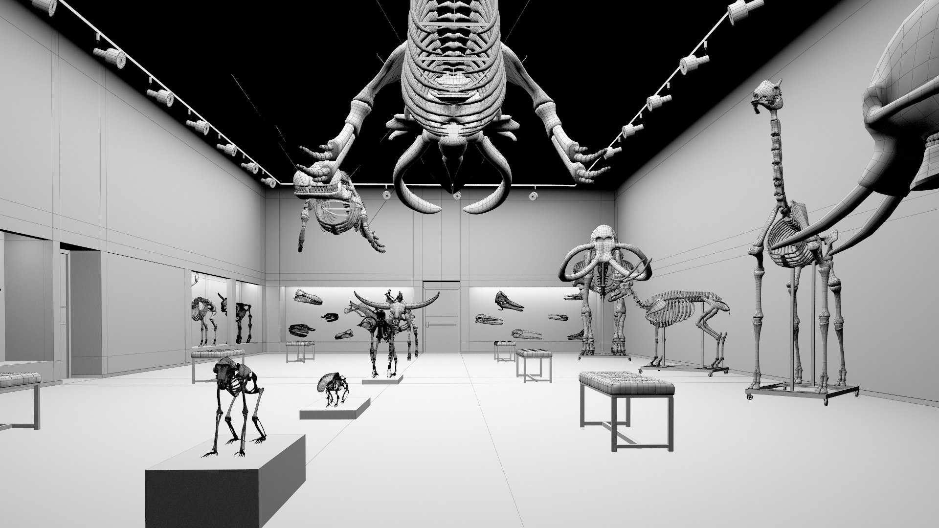 Skeleton Museum 3D - TurboSquid 1604122