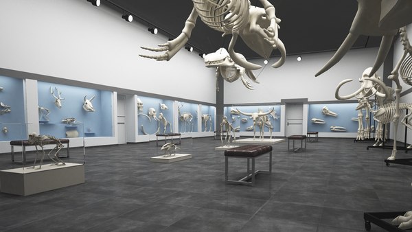 Skeleton museum 3D - TurboSquid 1604122