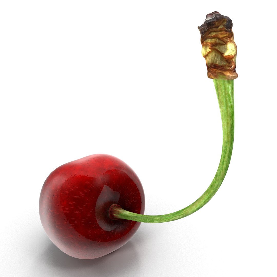 3d Cherry