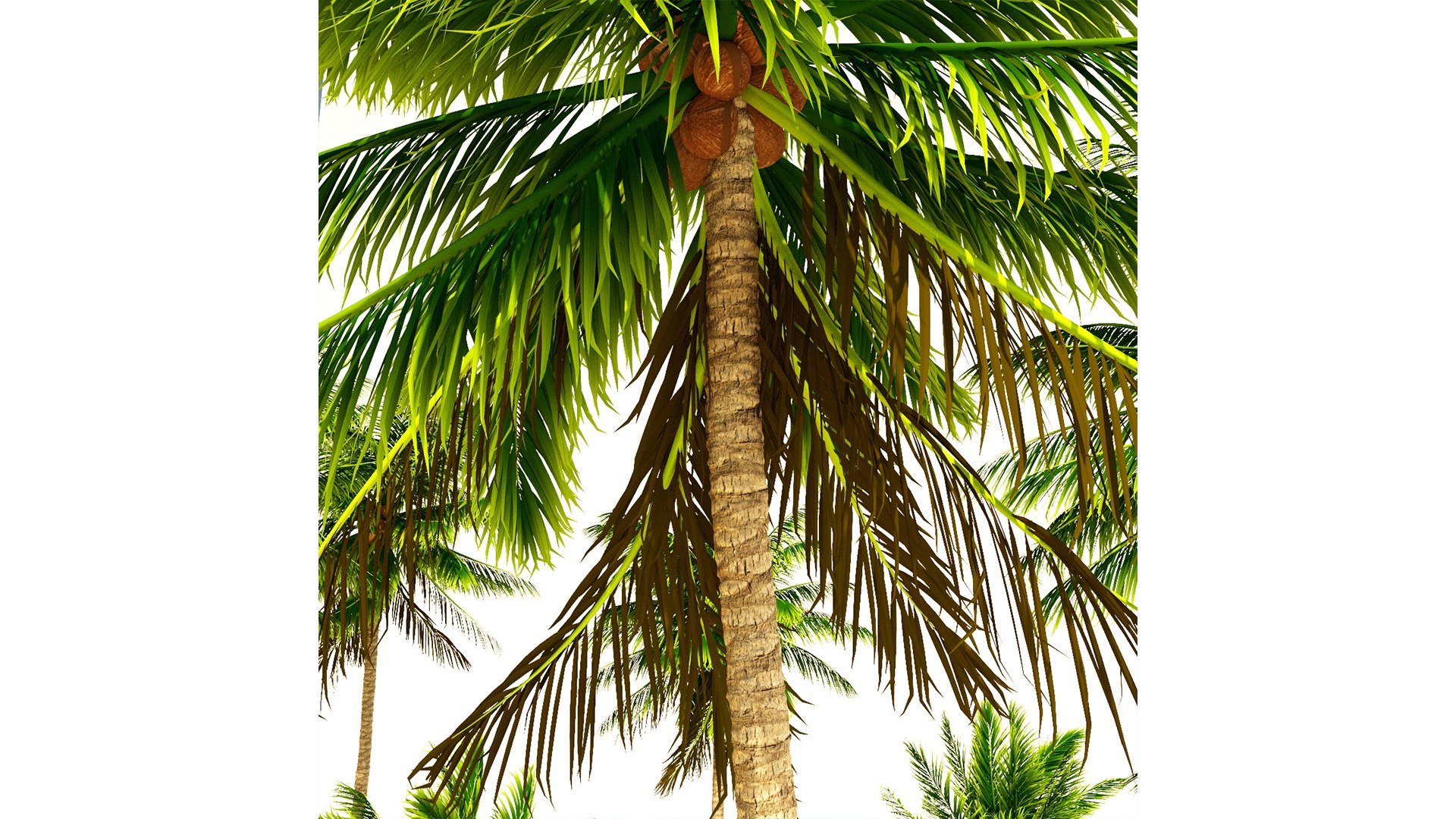 3D Palm Set 01 - TurboSquid 1860501