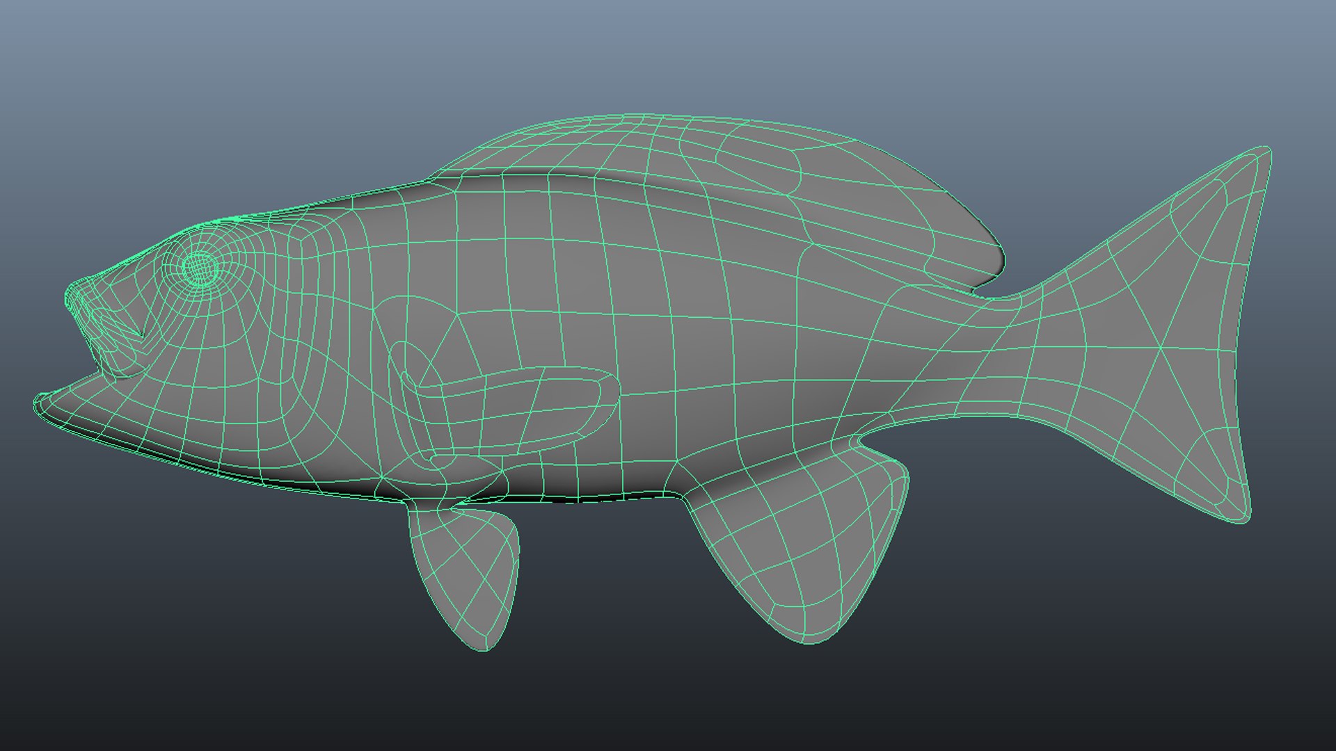 3D Saltwater Fish Collection 13 - TurboSquid 1836674