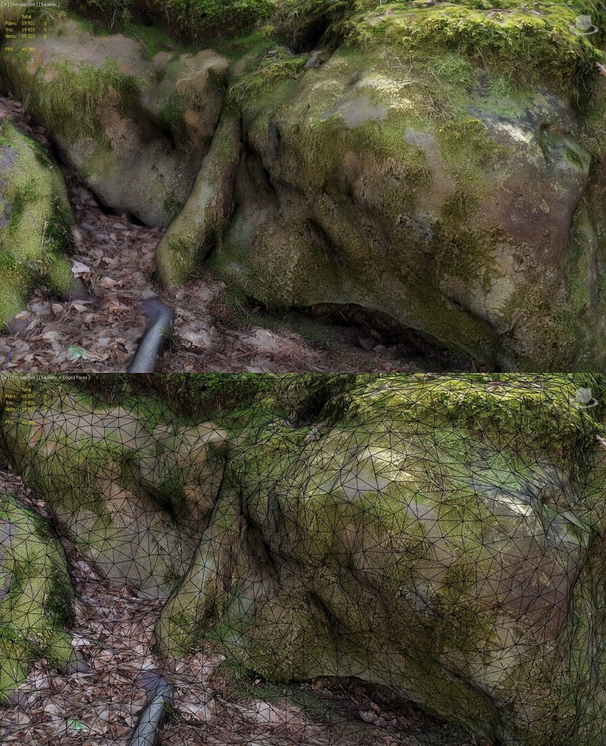 3D Rock Scanned Tree Forest Model | 1143583 | TurboSquid