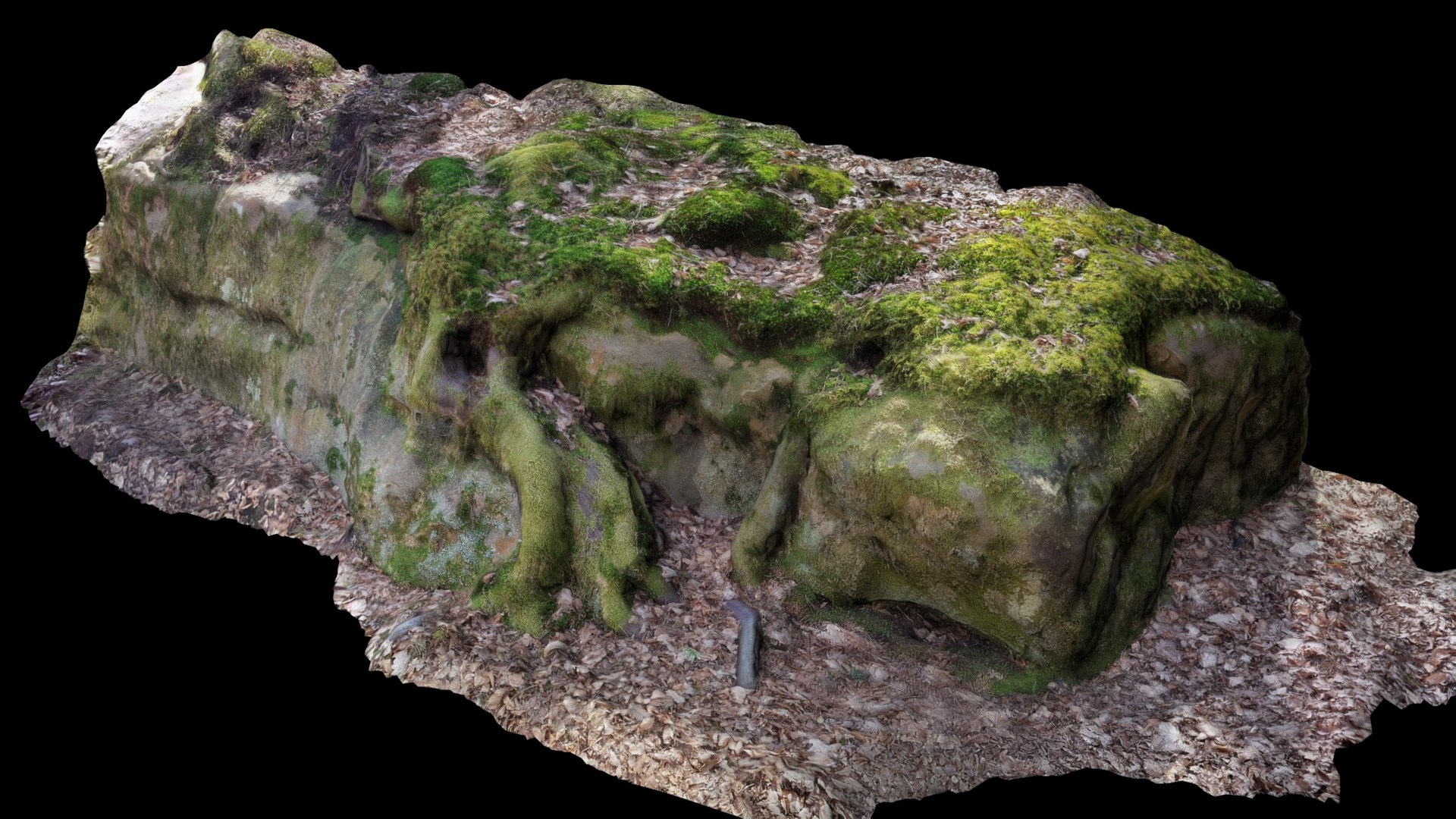 3D Rock Scanned Tree Forest Model | 1143583 | TurboSquid
