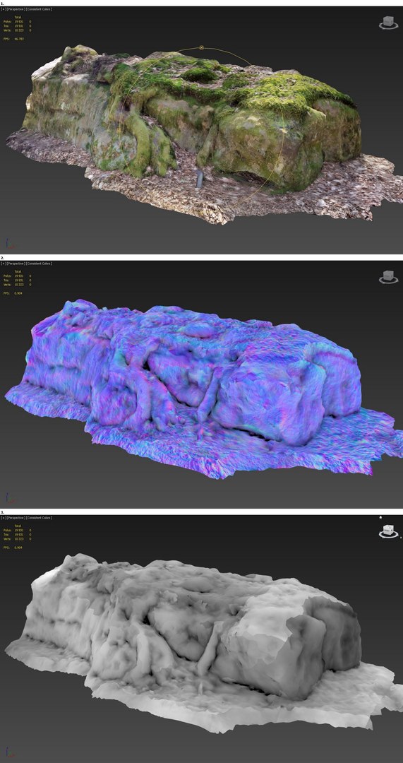 3D Rock Scanned Tree Forest Model | 1143583 | TurboSquid