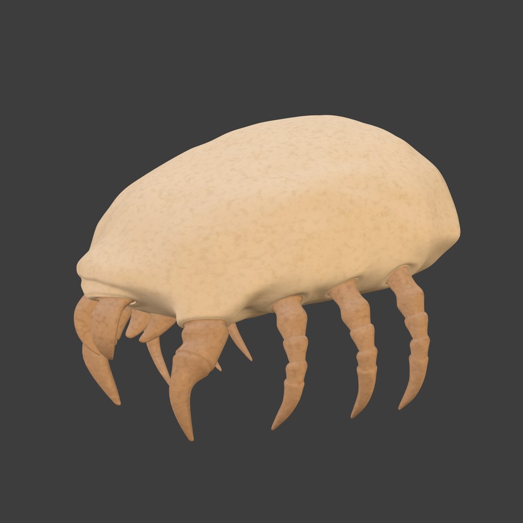 Mite 3D Model - TurboSquid 2247145